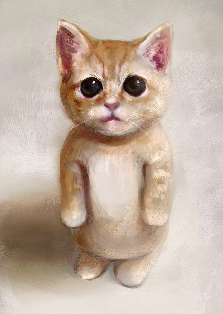 ArtStation - cat colour studies