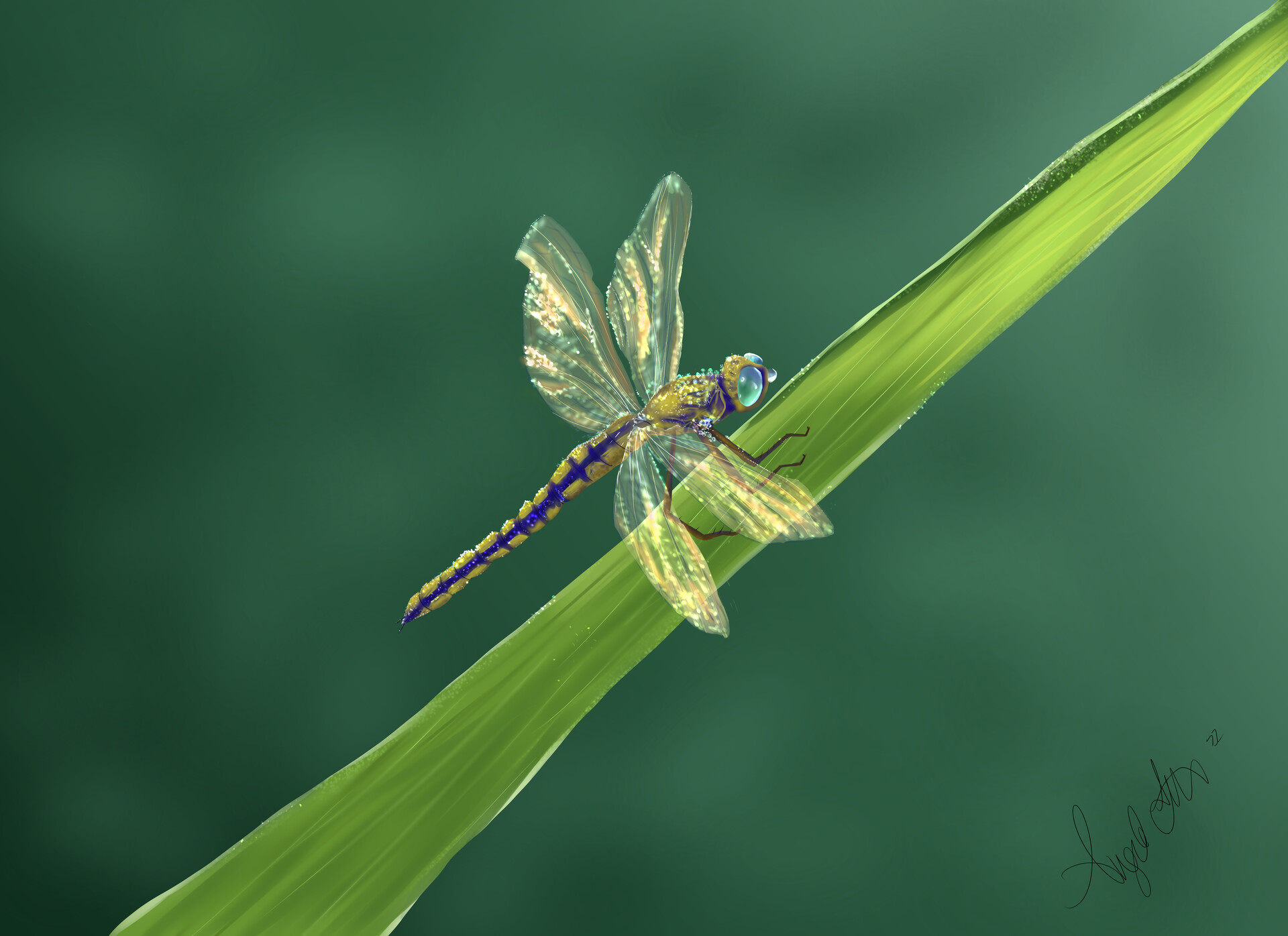 ArtStation - Dragonfly