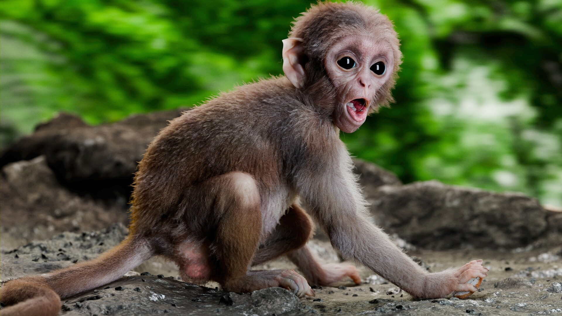 ArtStation - Baby Monkey