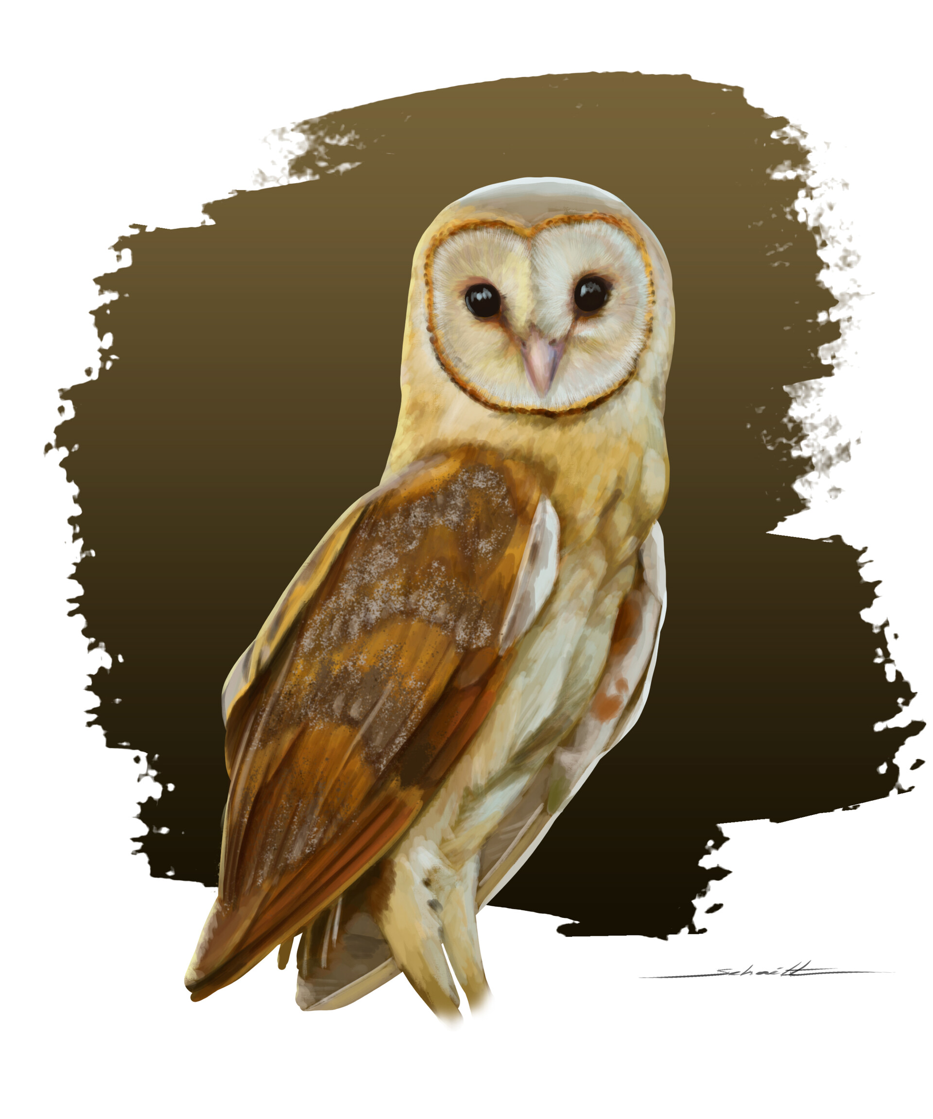 ArtStation - Owl Barn