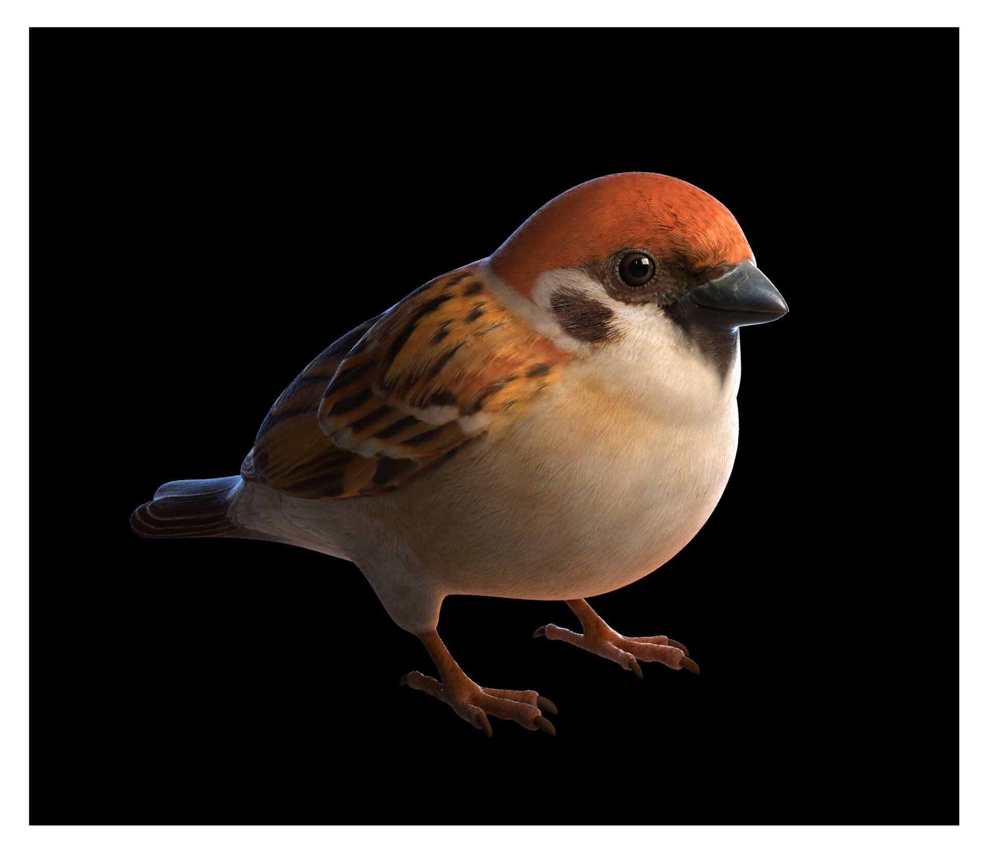 ArtStation - Sparrow_WORK