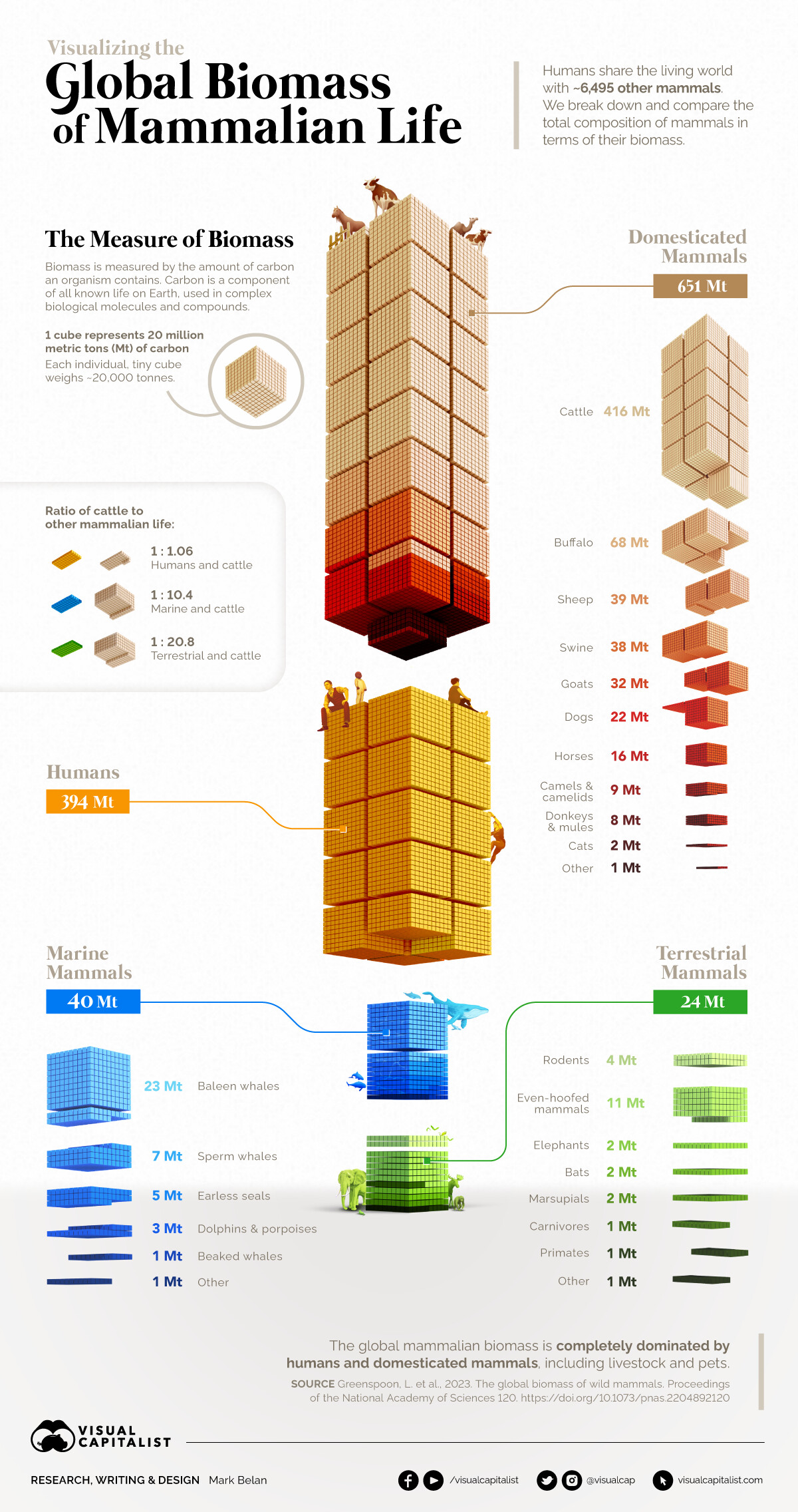 ArtStation - Visualizing the Global Biomass of Mammalian Life