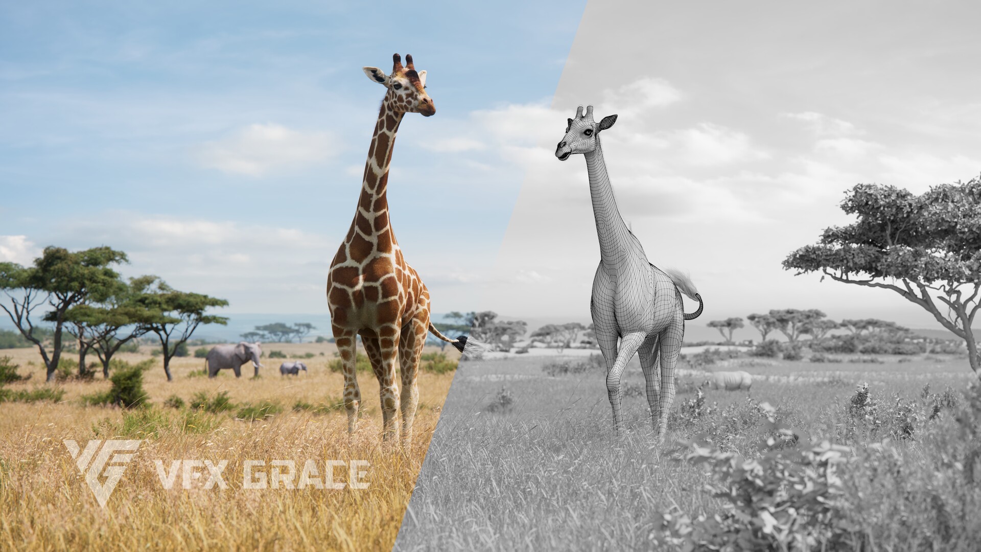 VFX models - Blender's CG Artistry: Creating Lifelike Giraffes