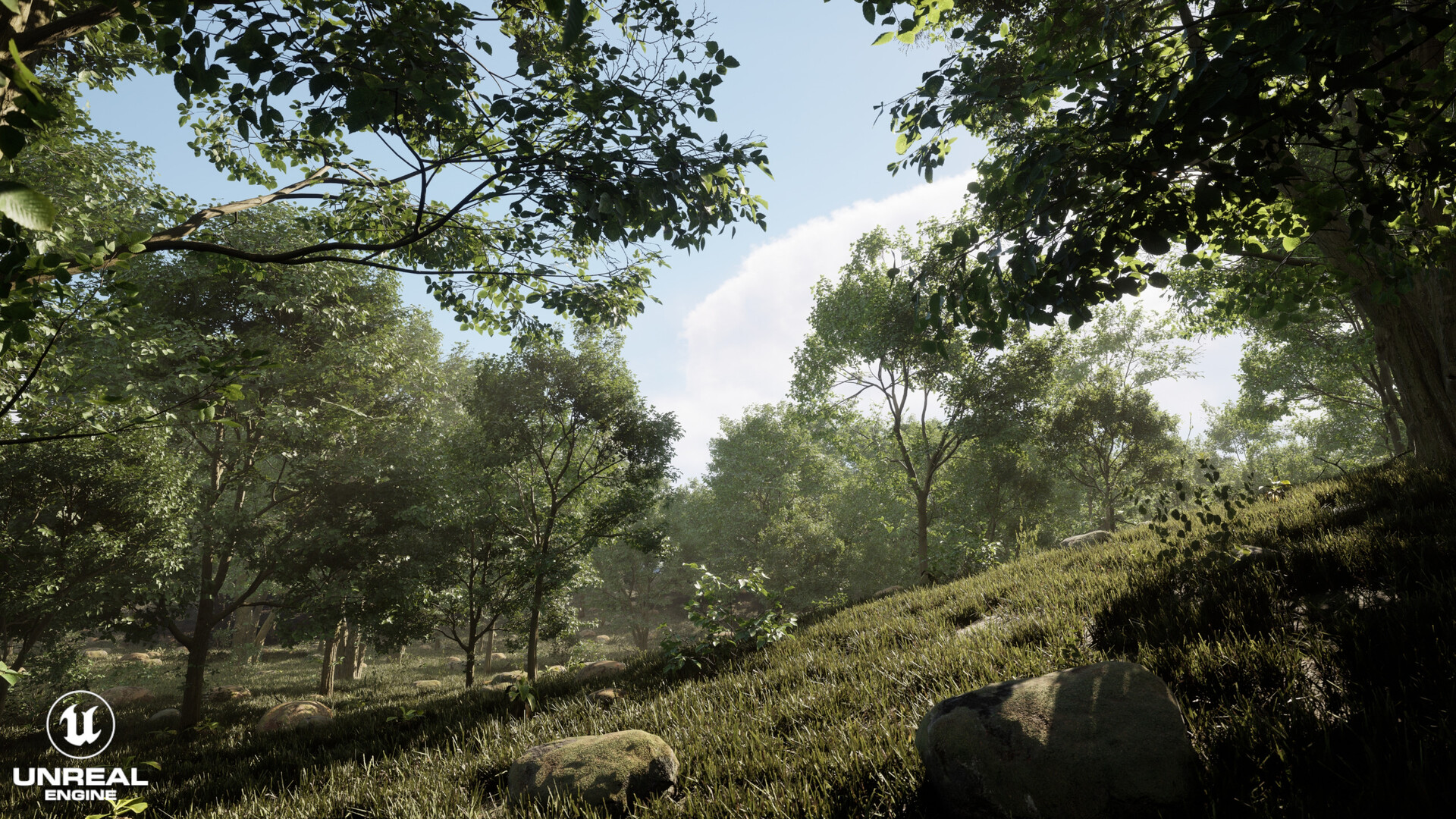 ArtStation - Unreal engine 5.3 PCG graph