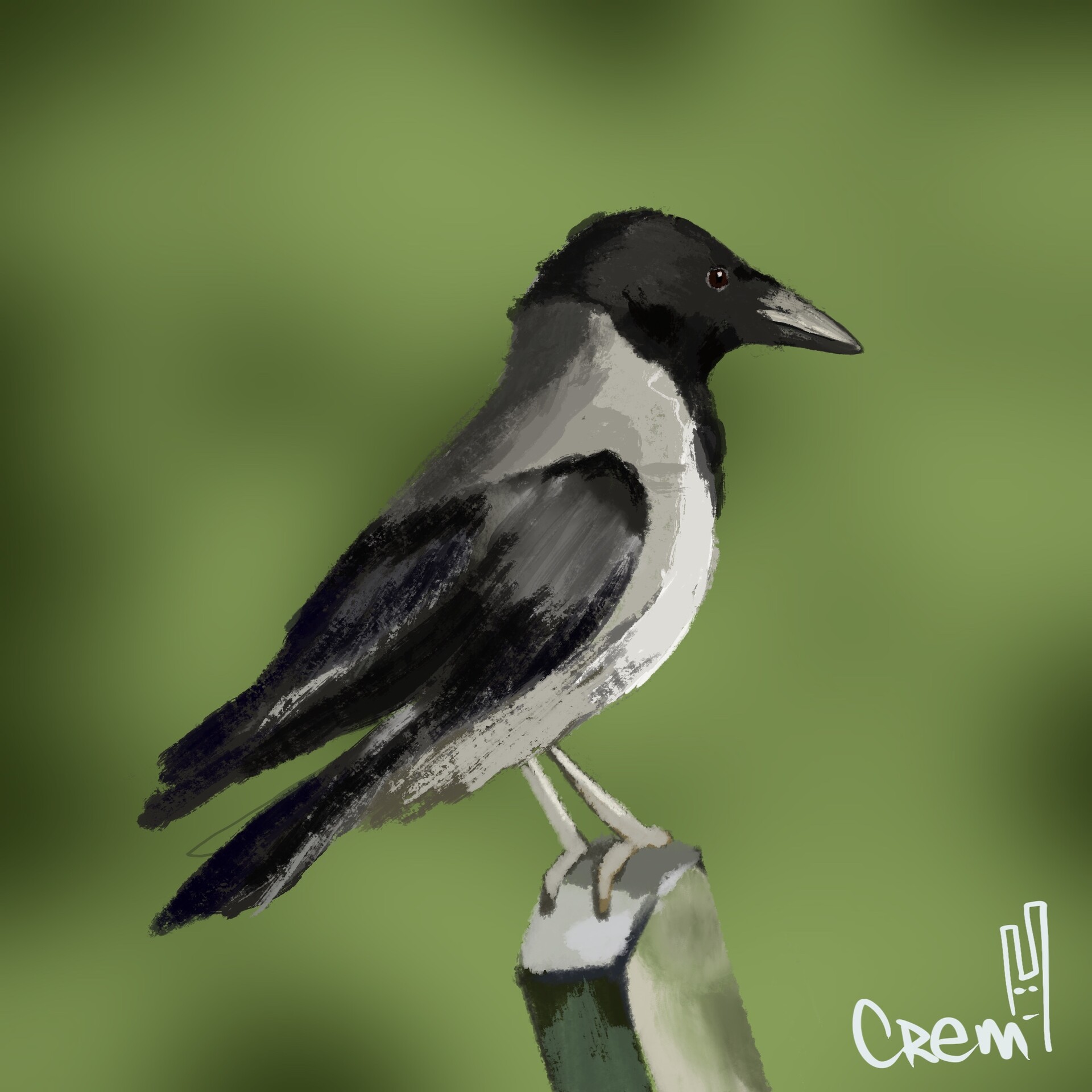 ArtStation - crow