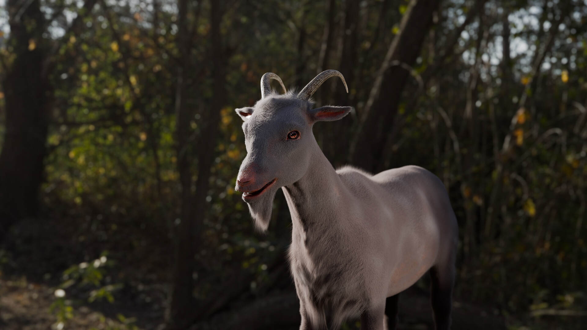 ArtStation - European Goat