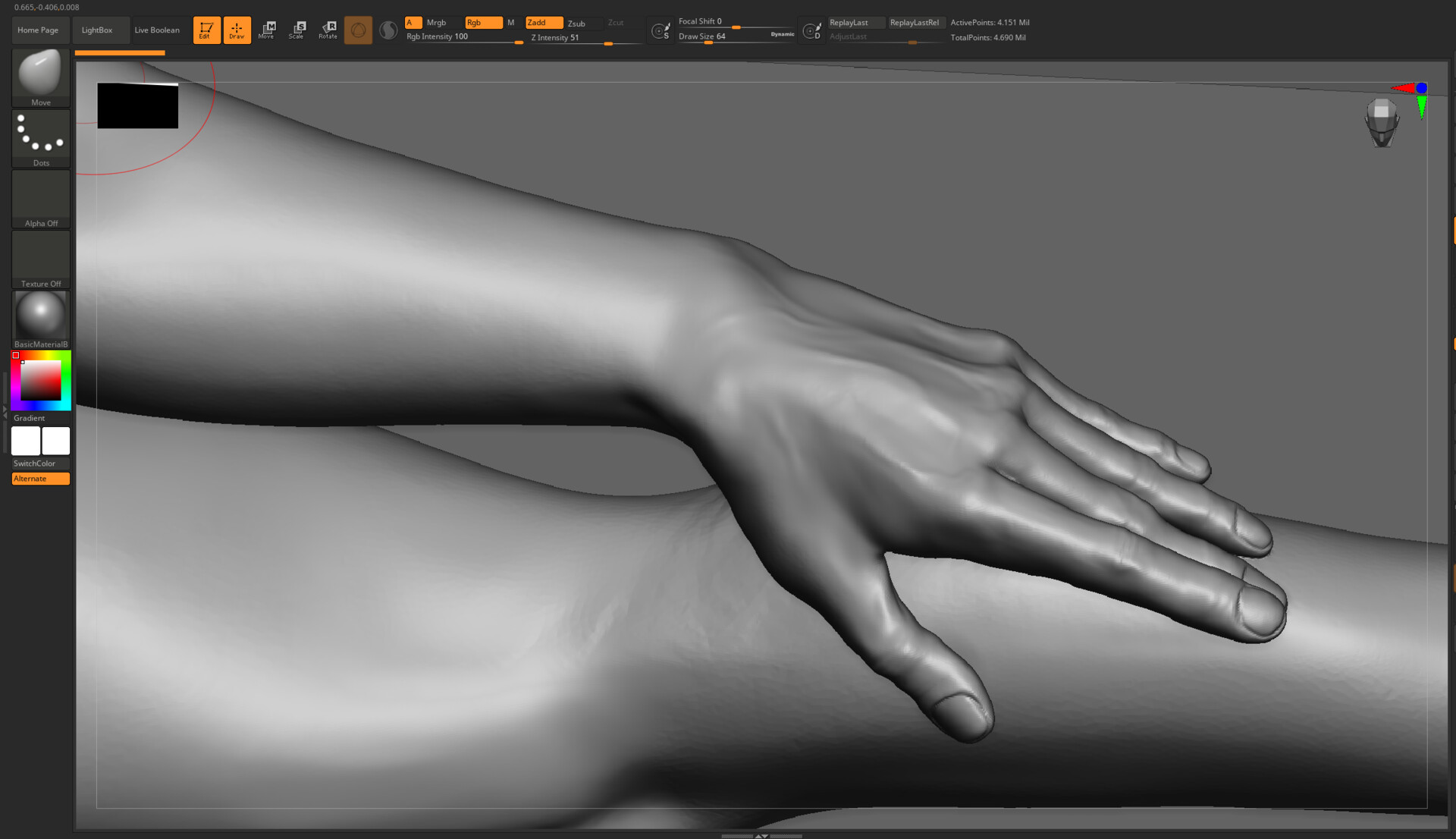 Syed Jafri - Anatomy study 06