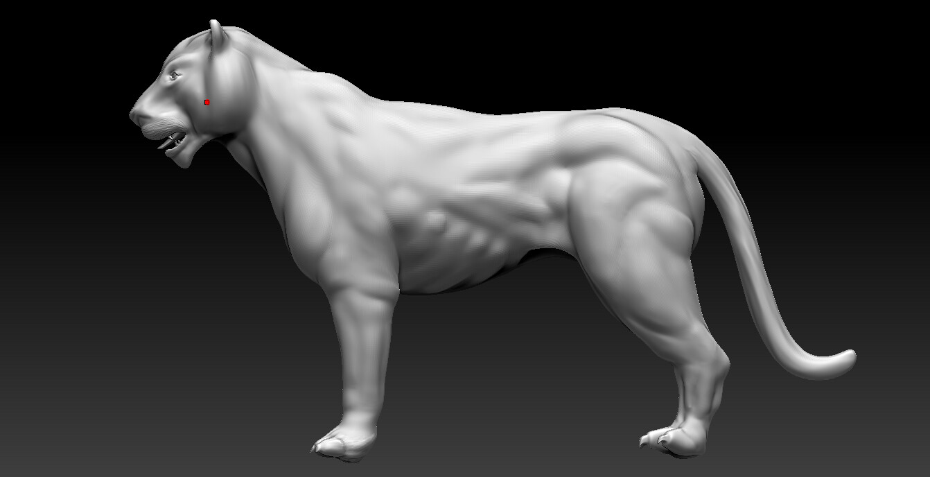 ArtStation - Tiger Digital sculpting