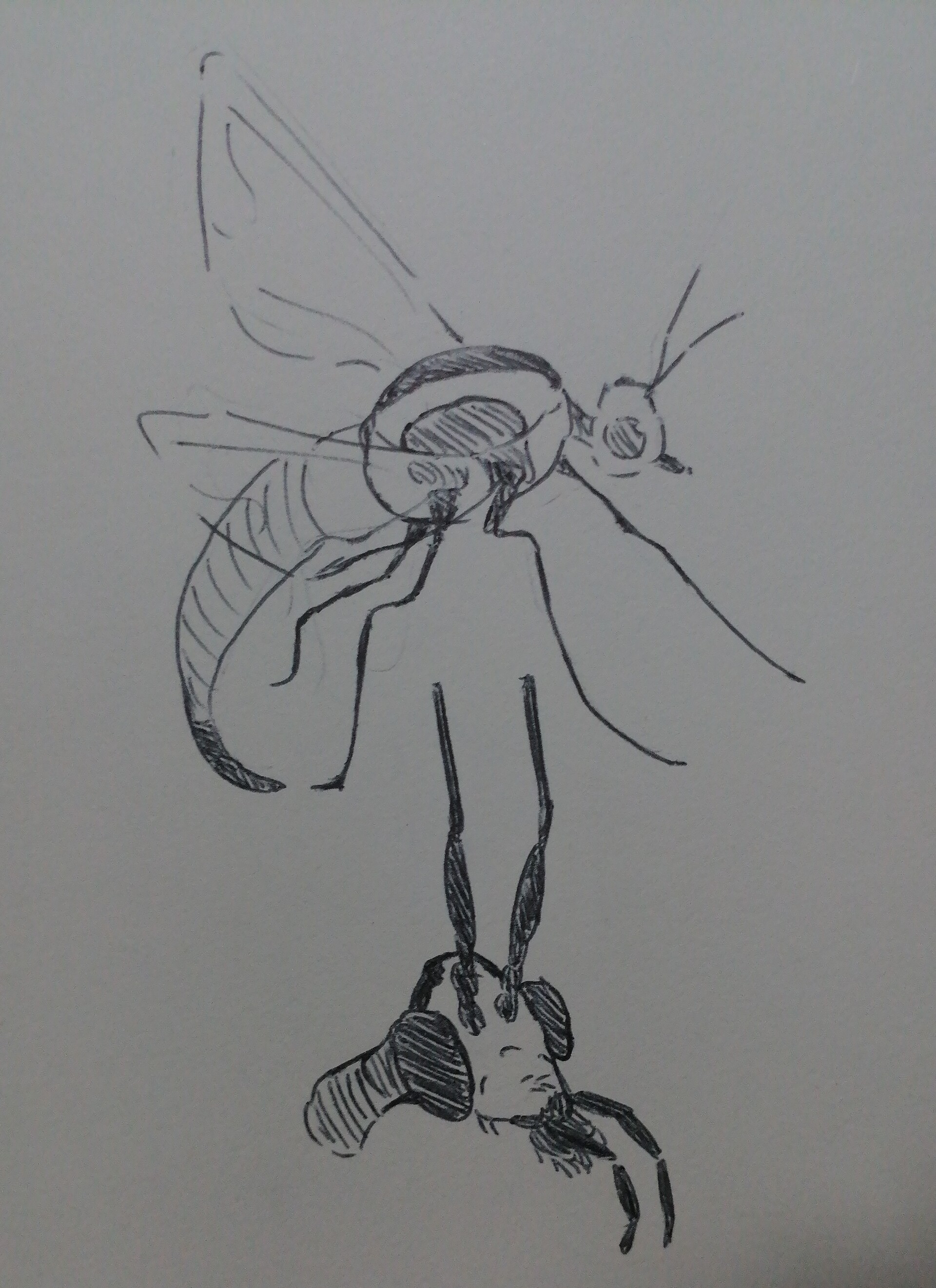 ArtStation - Insects (1)