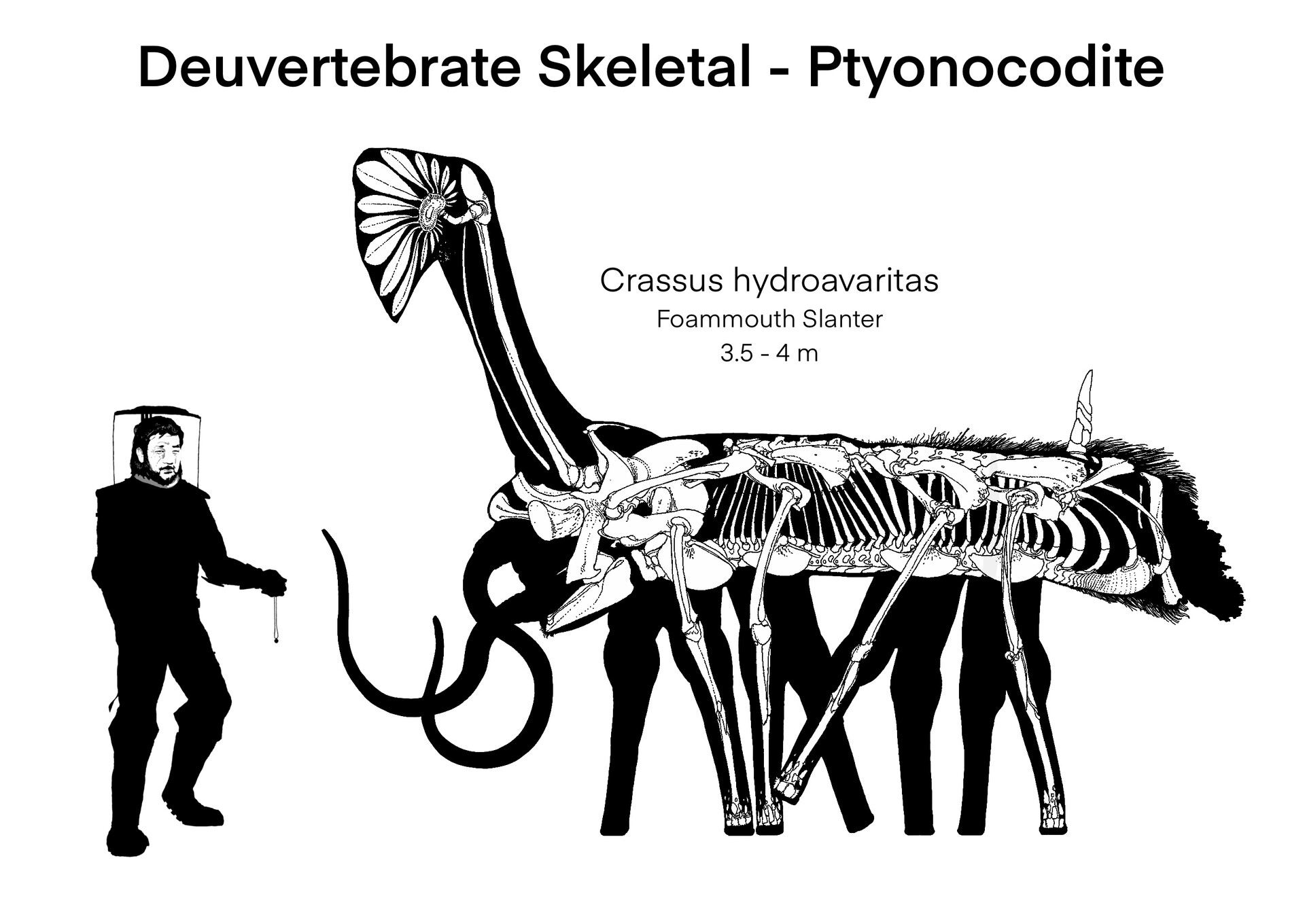 ArtStation - Phtanum - Deuvertebrate Skeleton (Ptyonocodite)