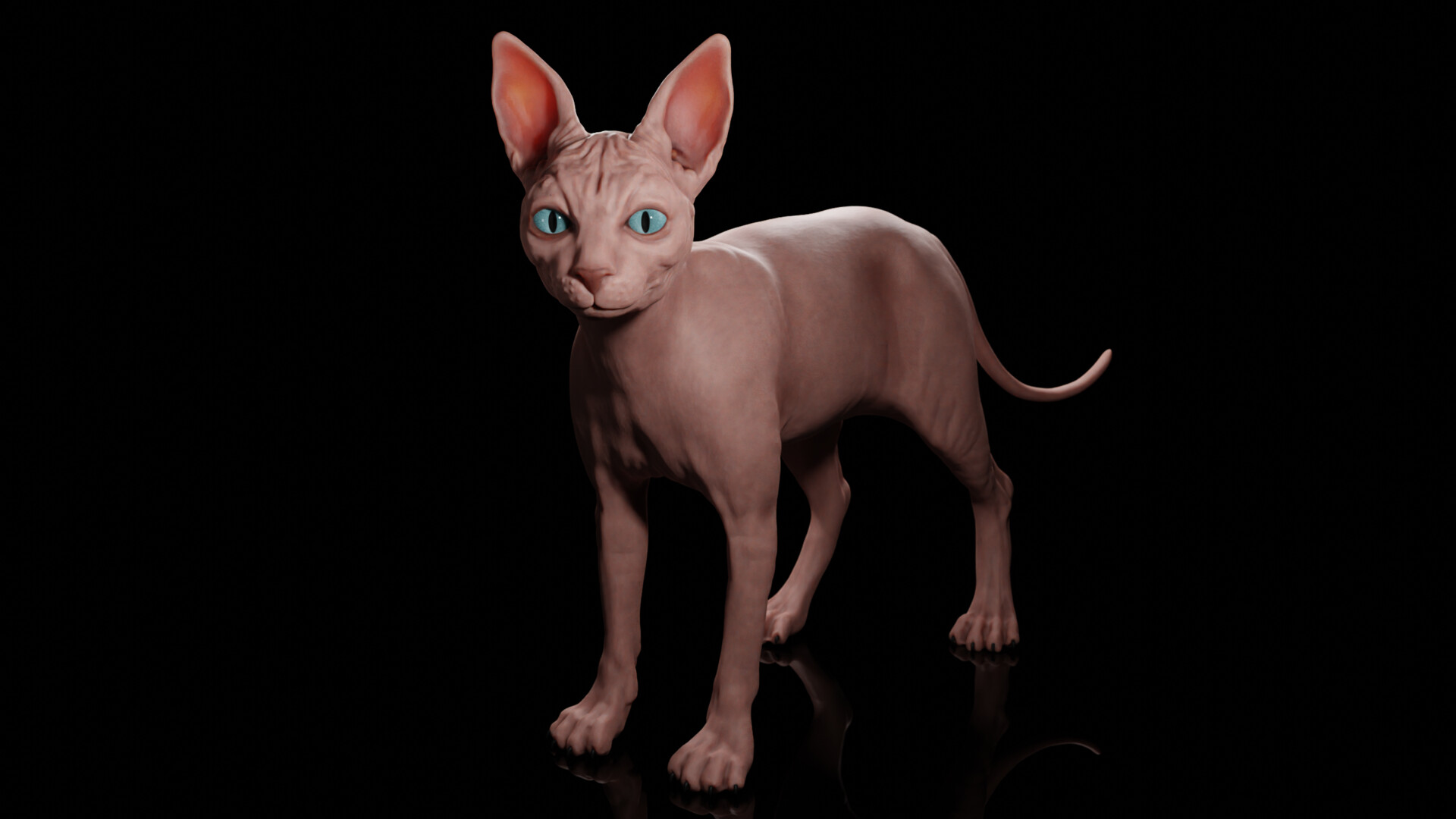 ArtStation - Sphynx cat