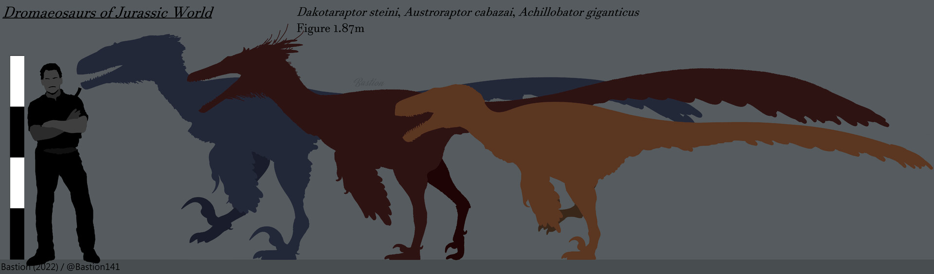 dromaeosaurus size chart