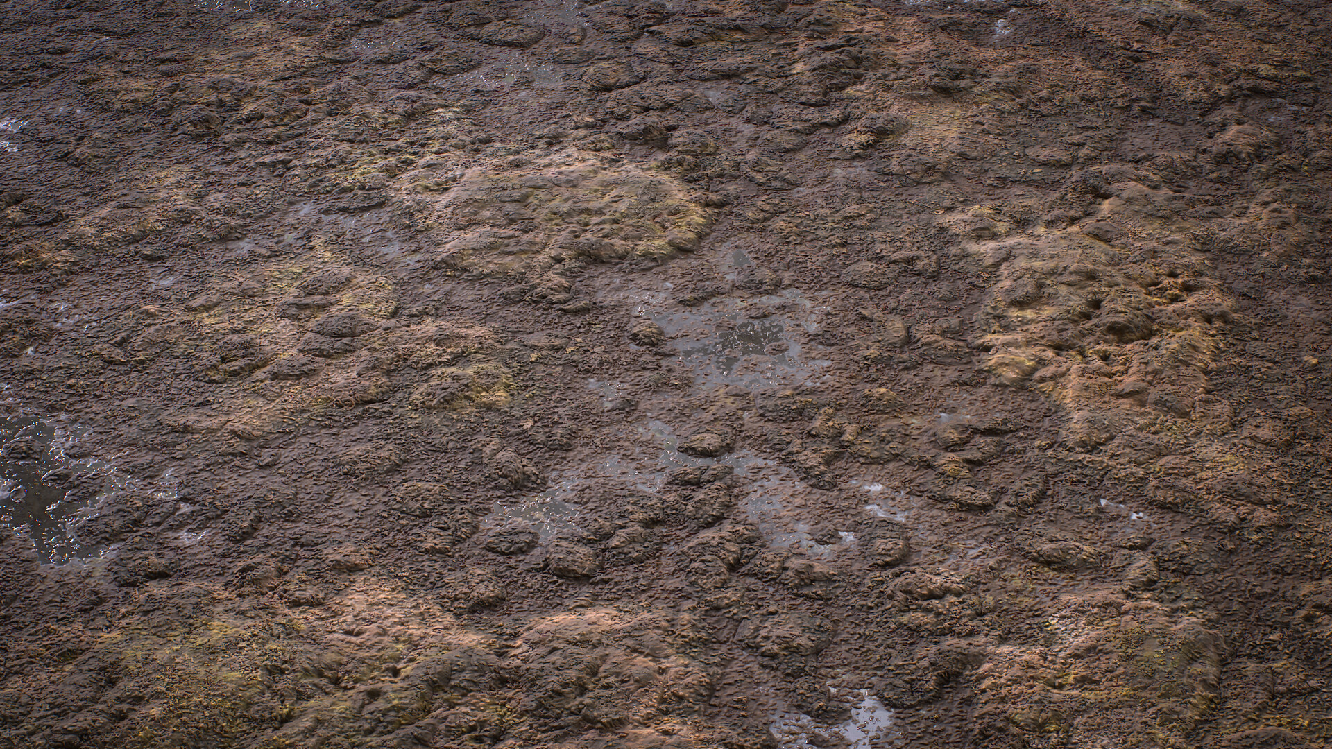 Gerardo Justel - Natural Muddy Terrain Material