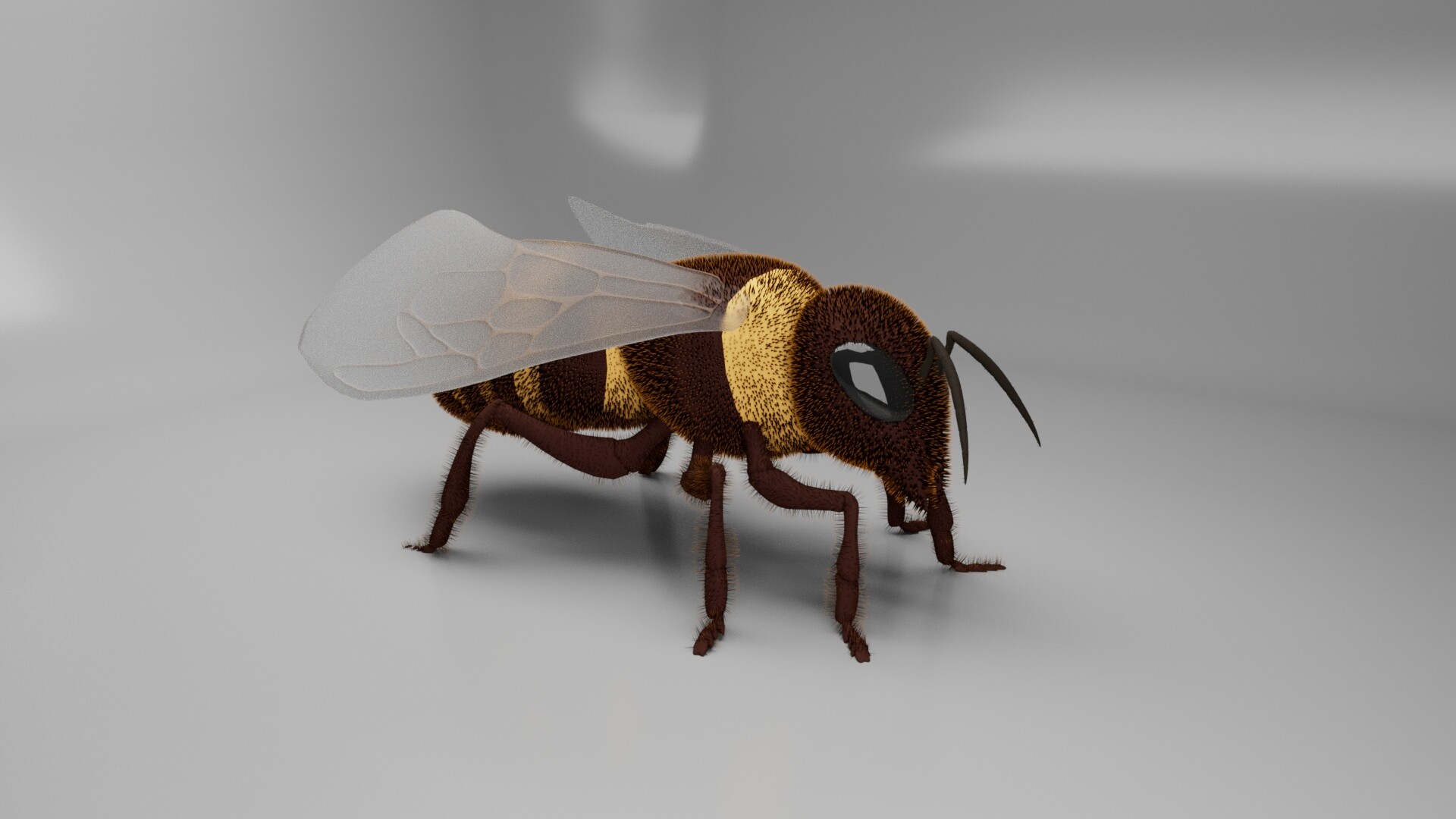 ArtStation - Maya Bee Rig