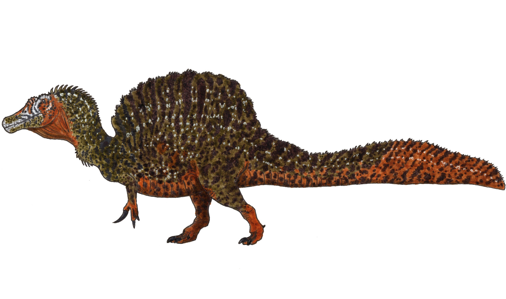 ArtStation - Spinosaurus aegyptiacus
