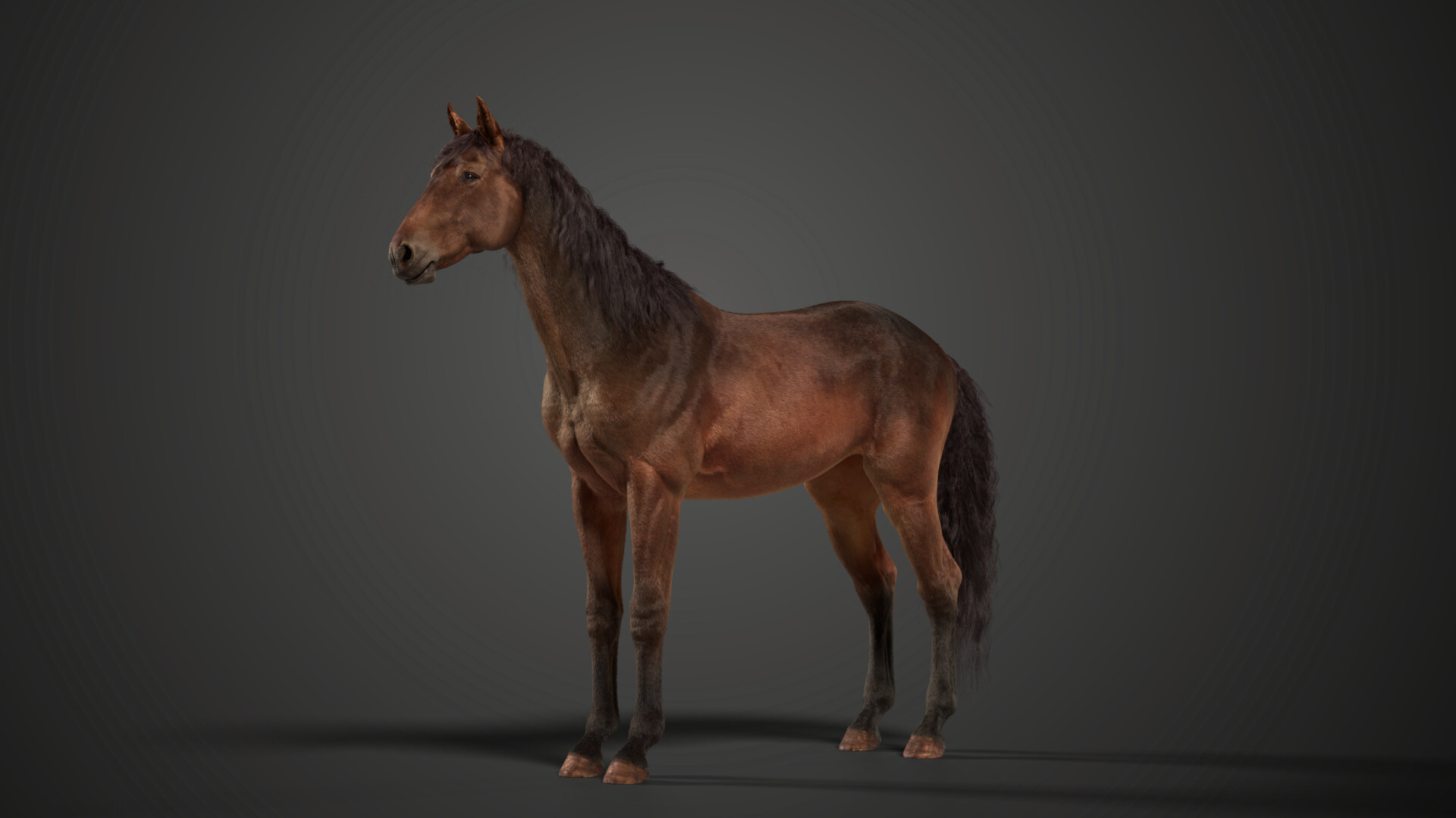 VFX models - Brown Horse Animation | VFX Grace