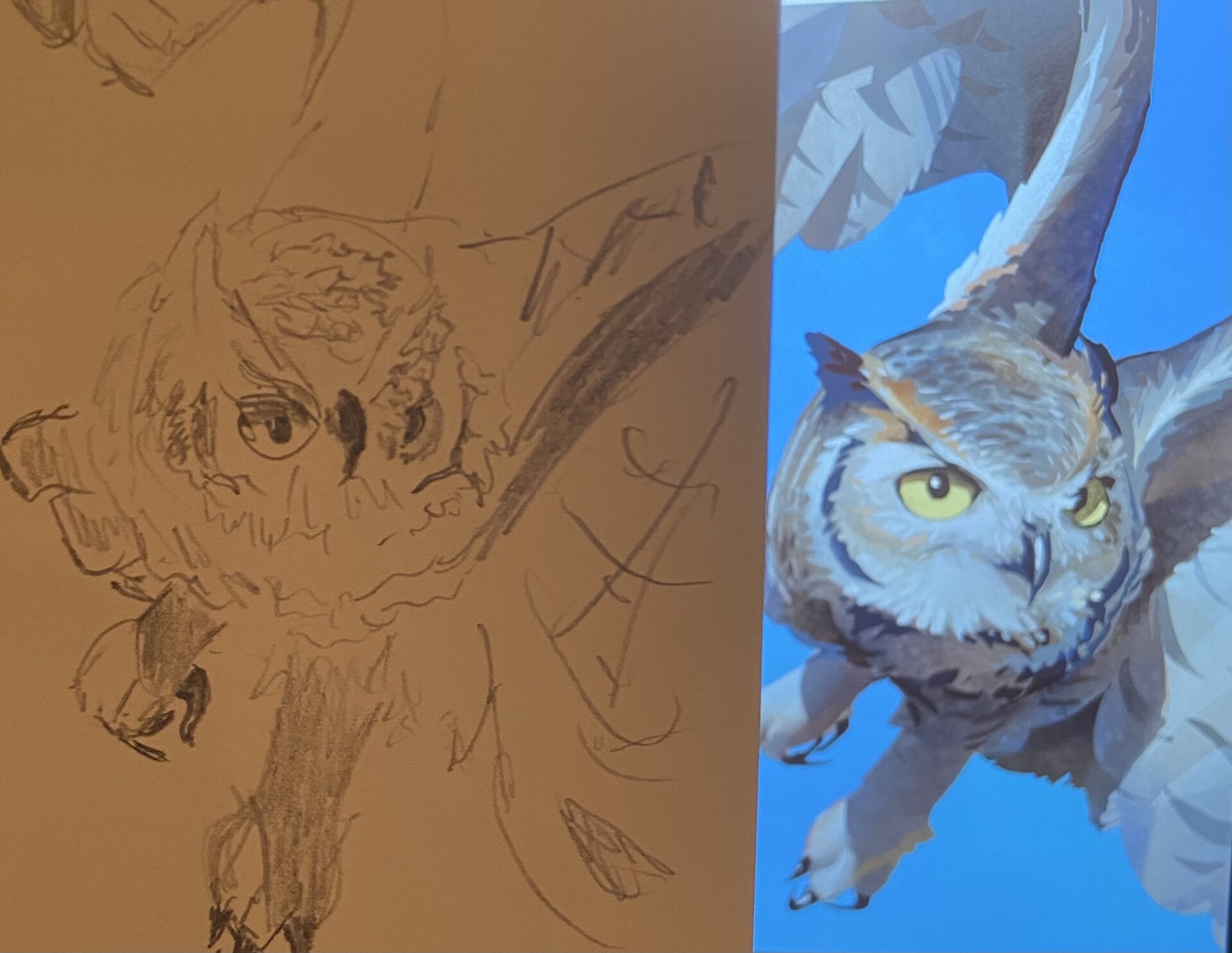 ArtStation - Owl light study. Enjoy