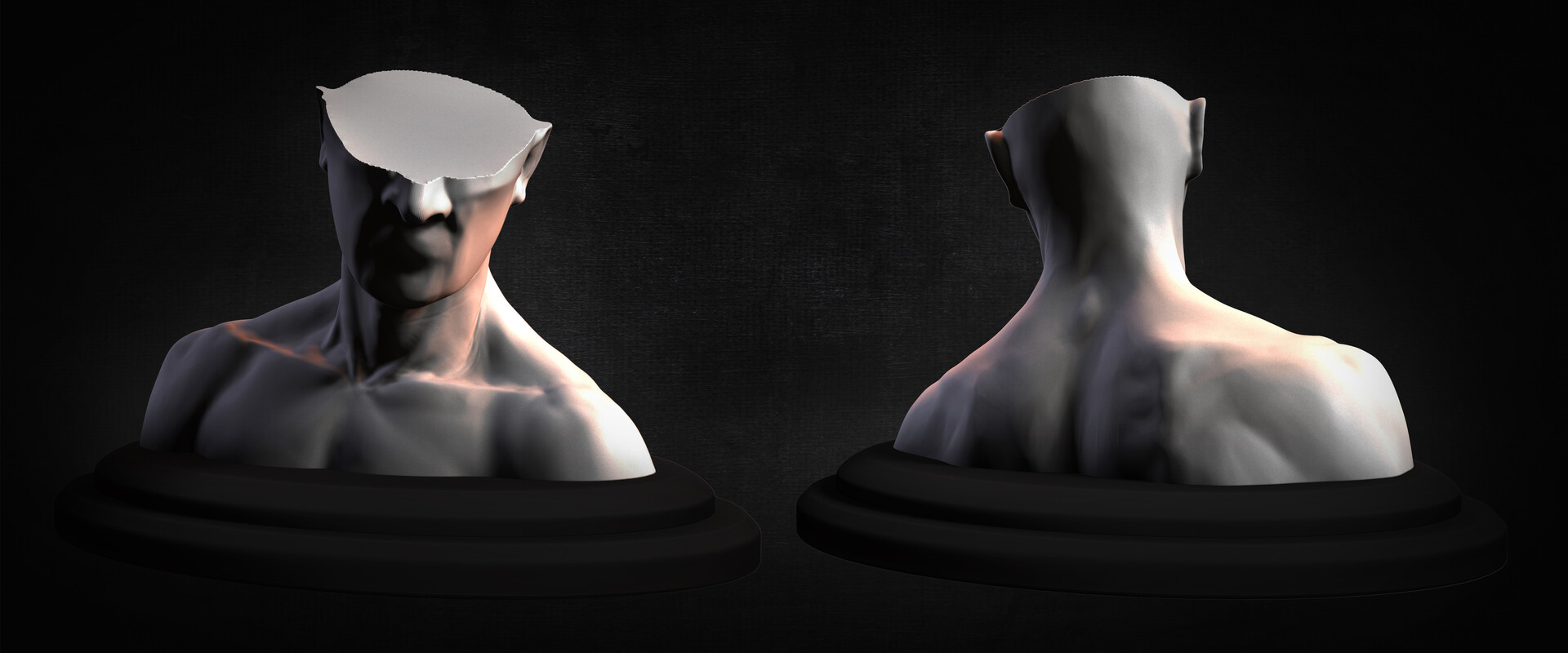 ArtStation - Anatomy Study - Neck