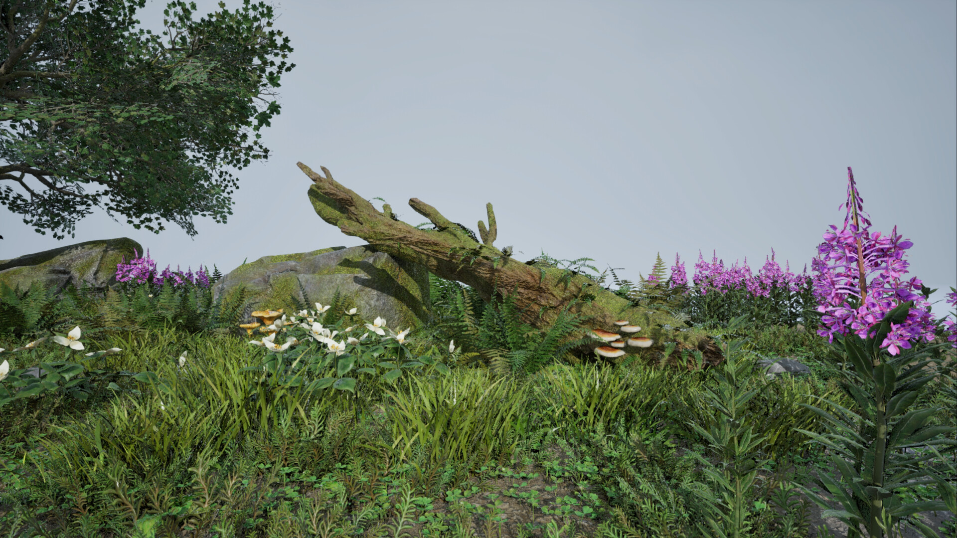 Dexuan (Eli) Zhu - Foliage Vignette