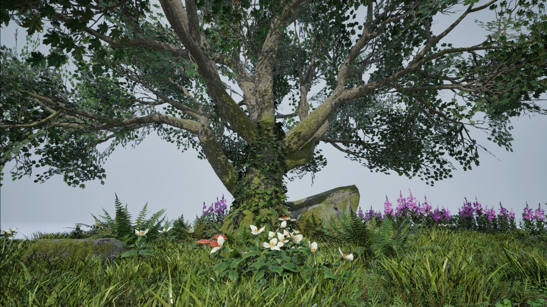 Dexuan (Eli) Zhu - Foliage Vignette