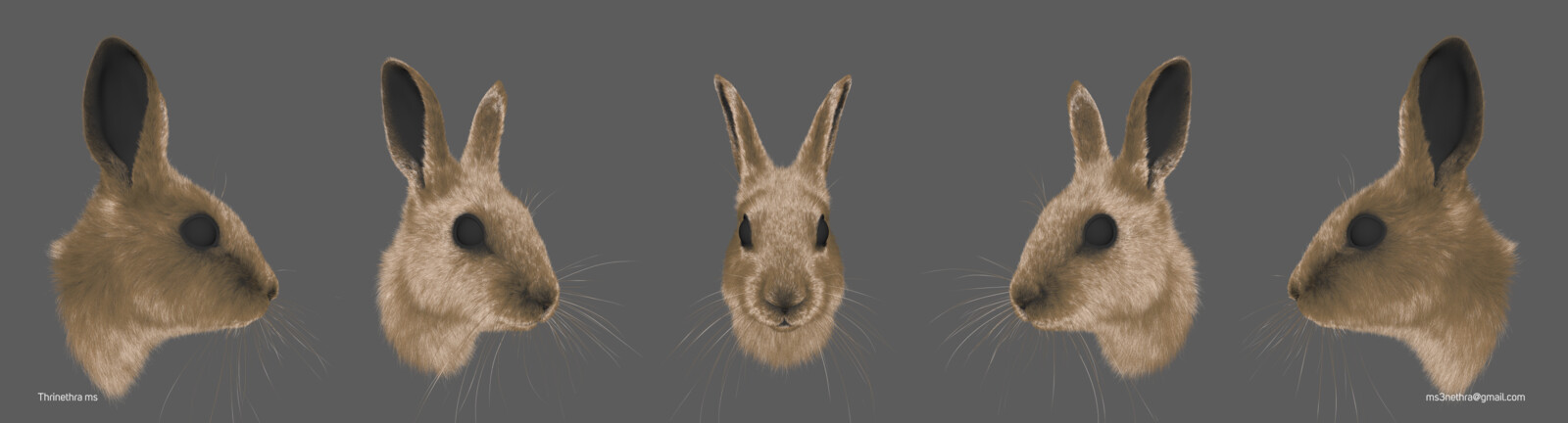 thrinethra ms - Rabbit | Groom