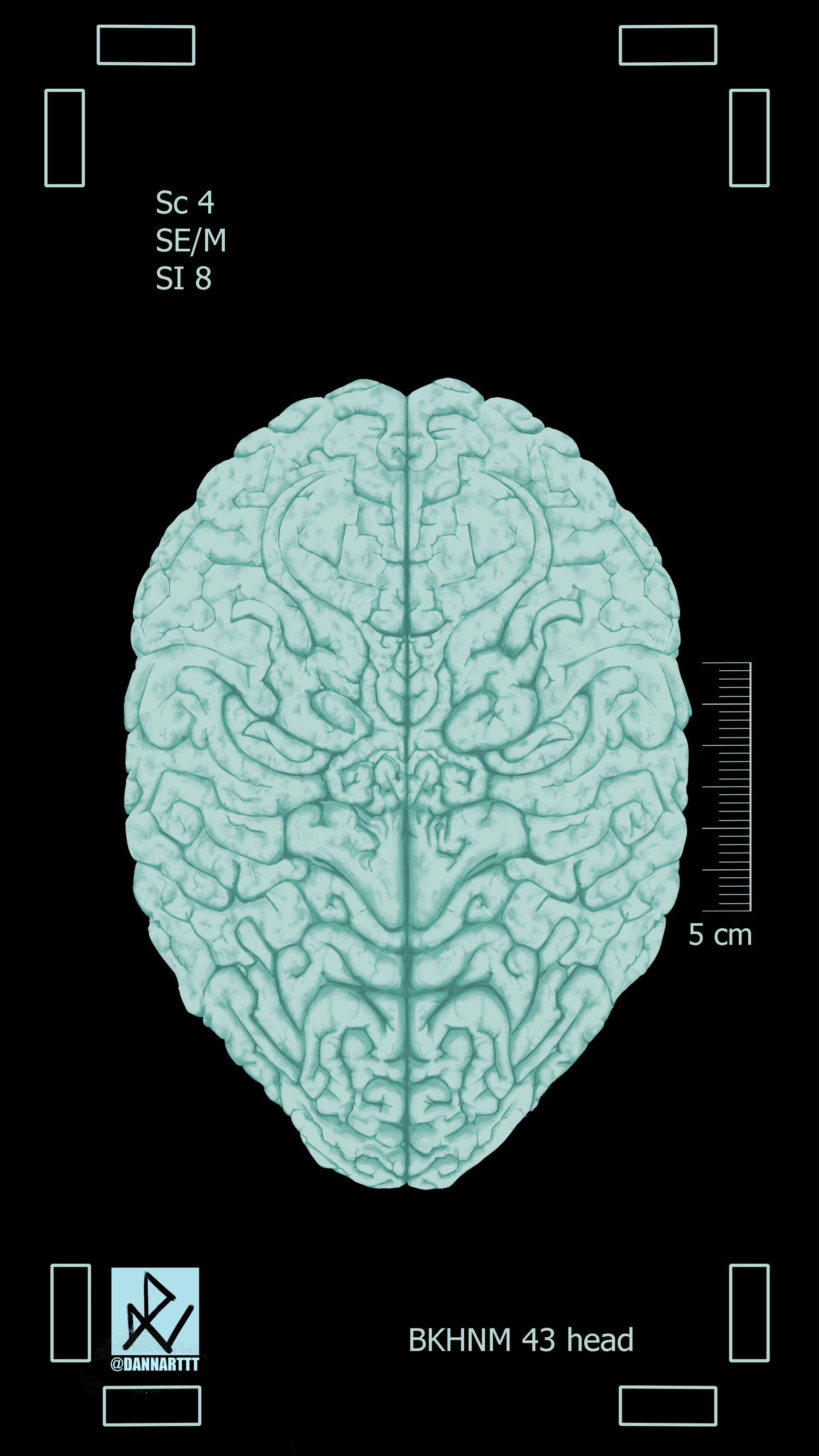 ArtStation - Baki Brain Scan