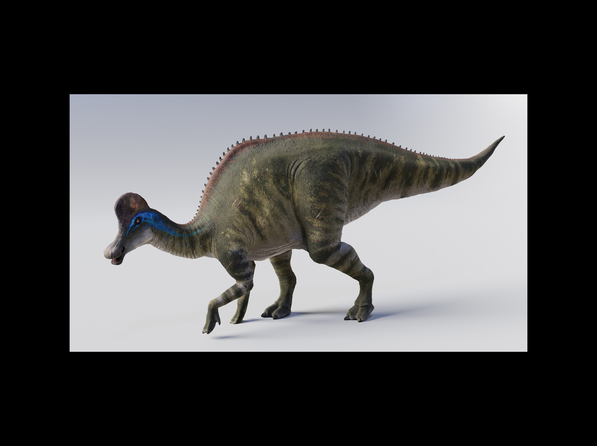 Enzo Minarro - Corythosaurus