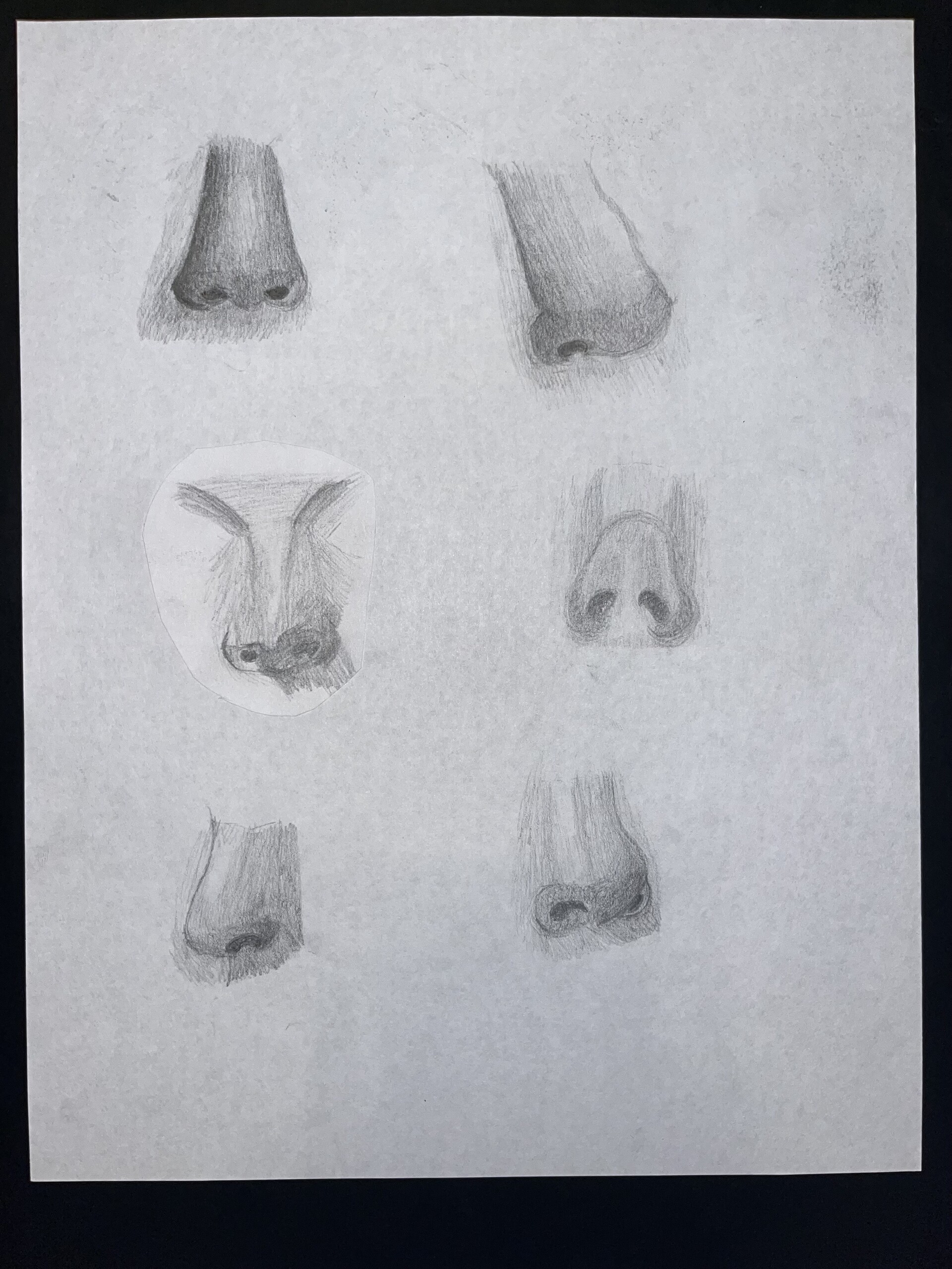 ArtStation - Portrait Feature Study: Noses