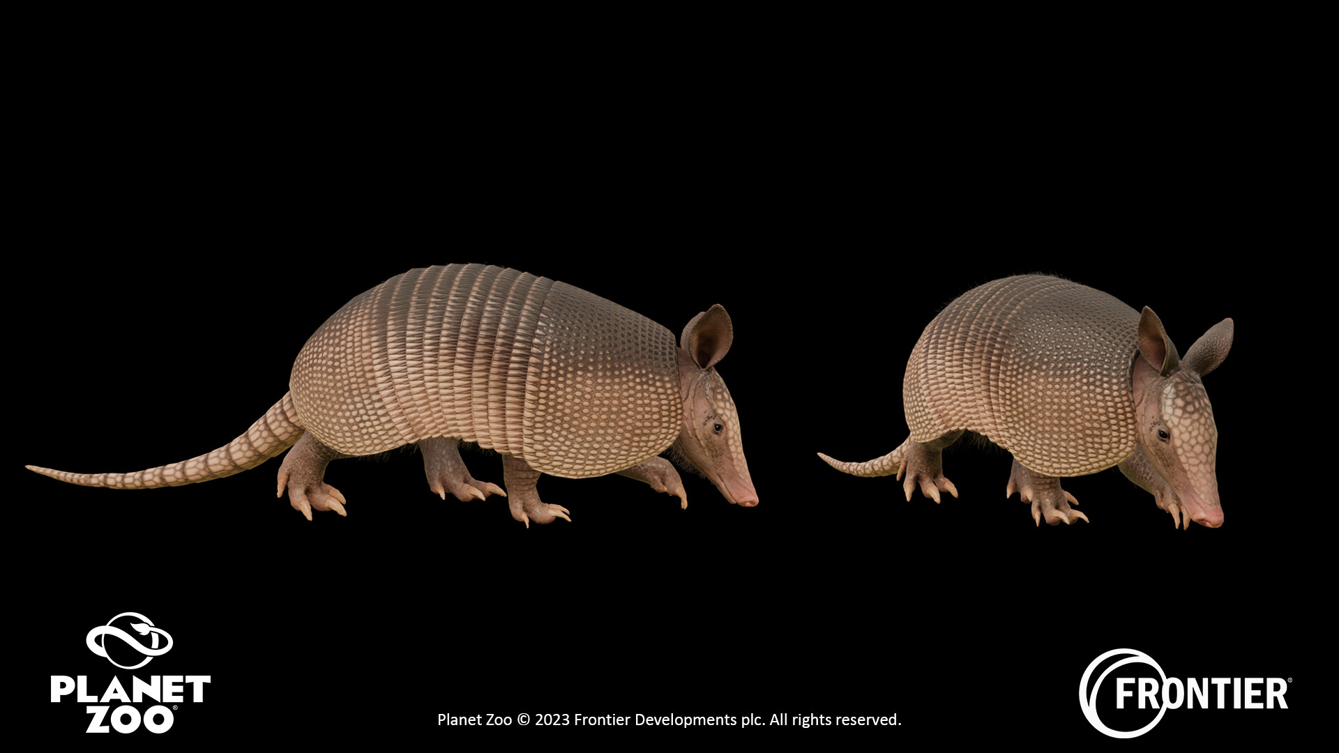 Victoria Hollingsworth - Nine-Banded Armadillo - Planet Zoo