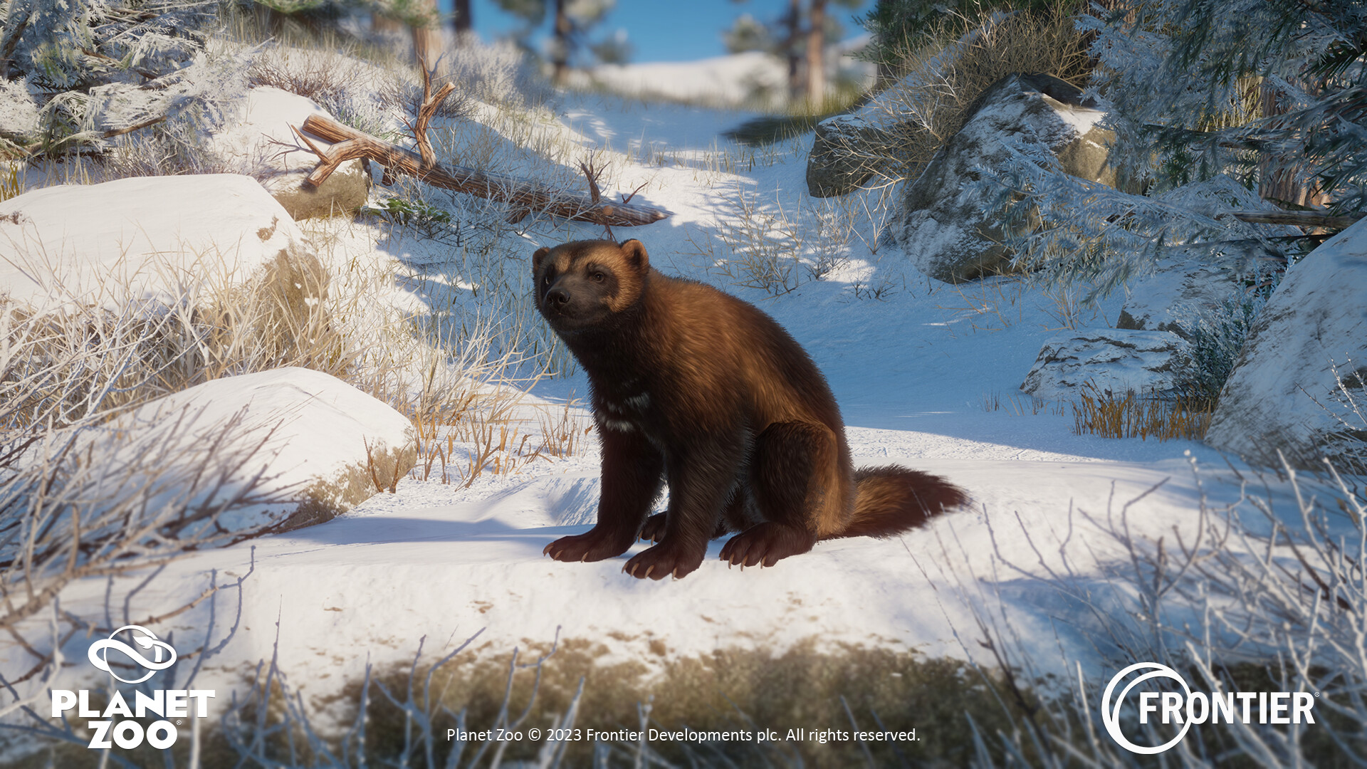 Victoria Hollingsworth - Wolverine - Planet Zoo