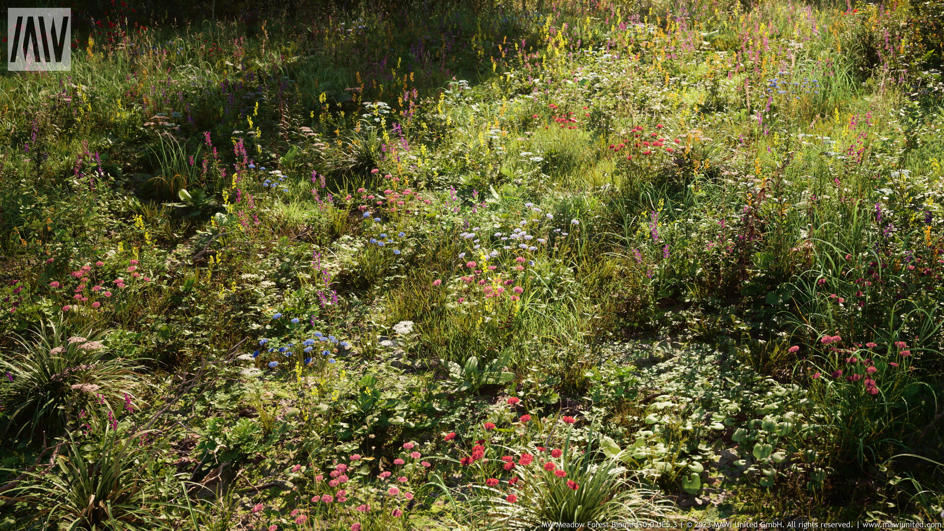 MAWI United - UE5.3 Meadow Forest Biome