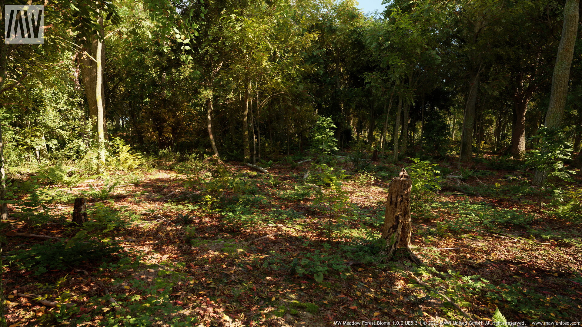 MAWI United - UE5.3 Meadow Forest Biome