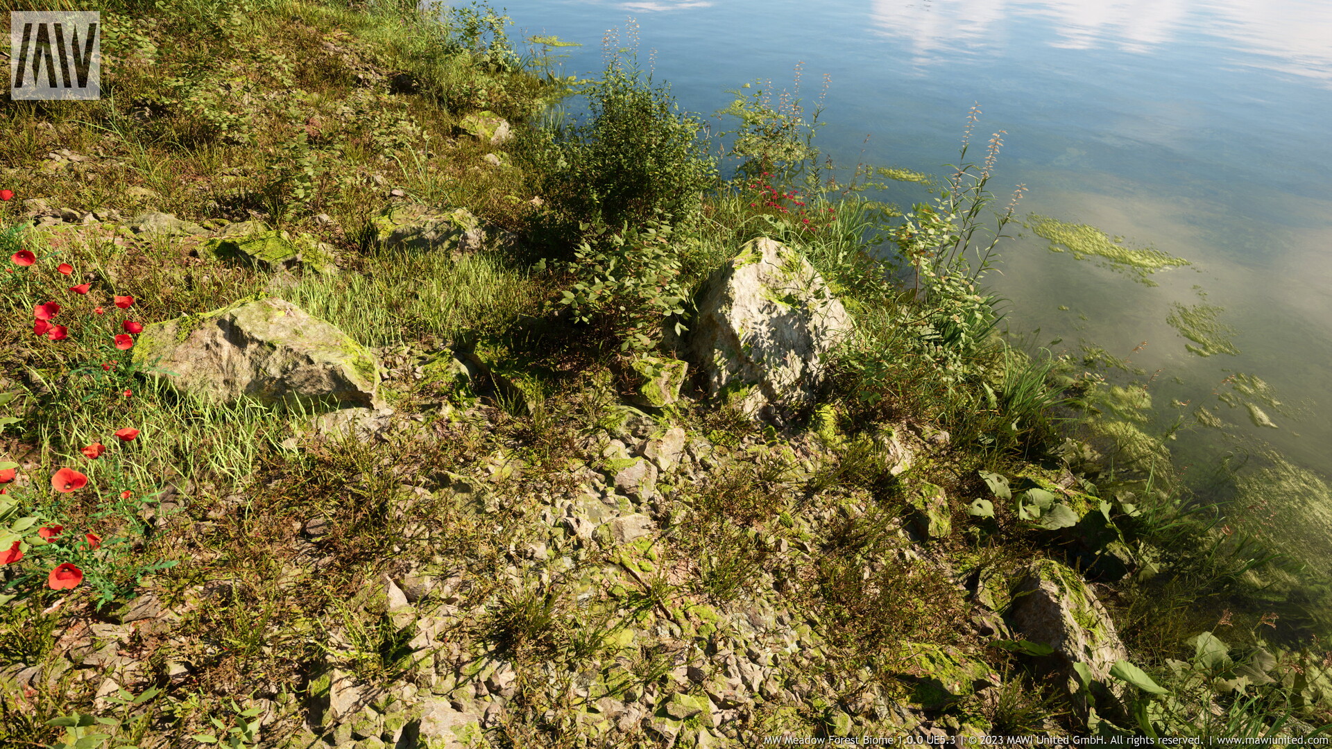 MAWI United - UE5.3 Meadow Forest Biome