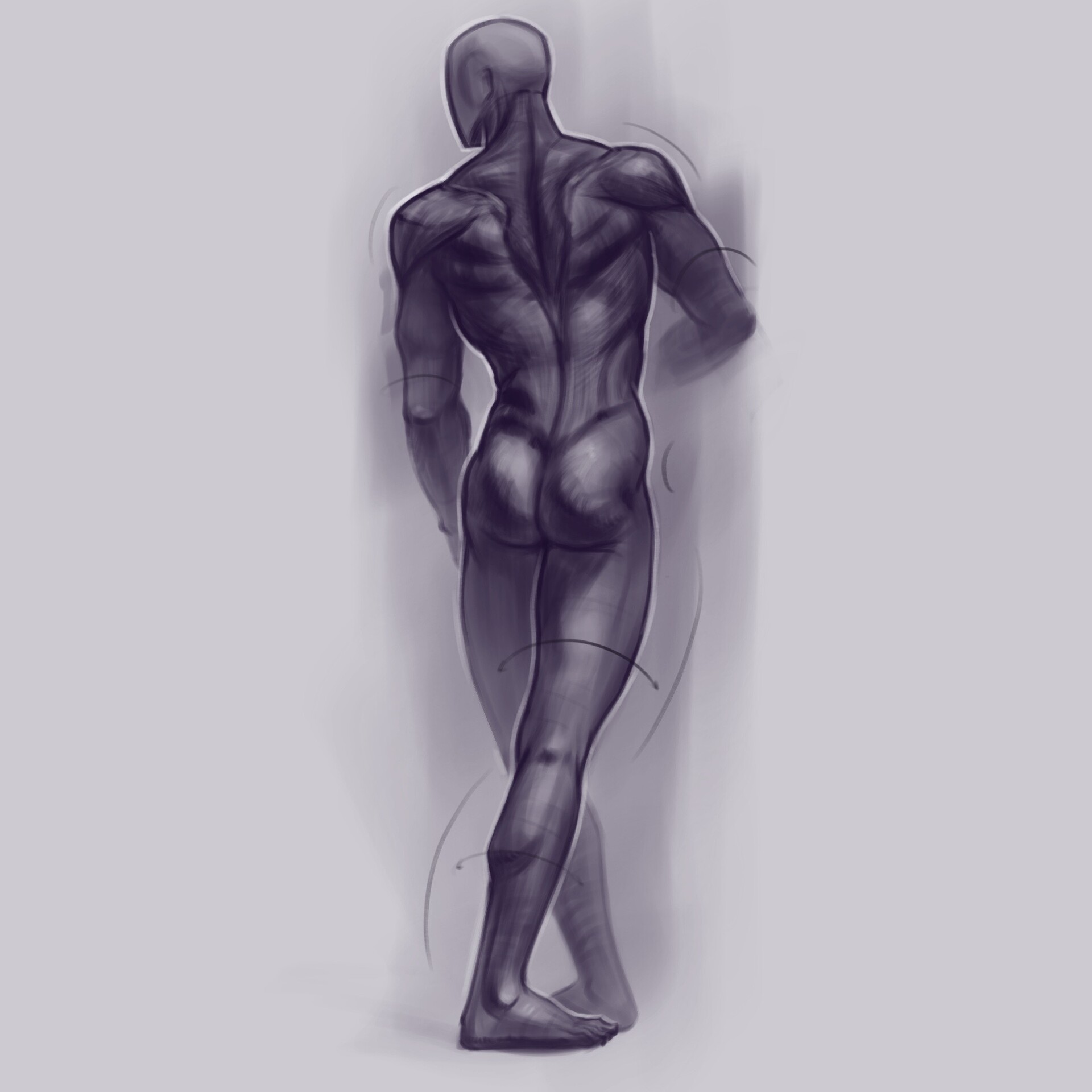 male back reference drawing