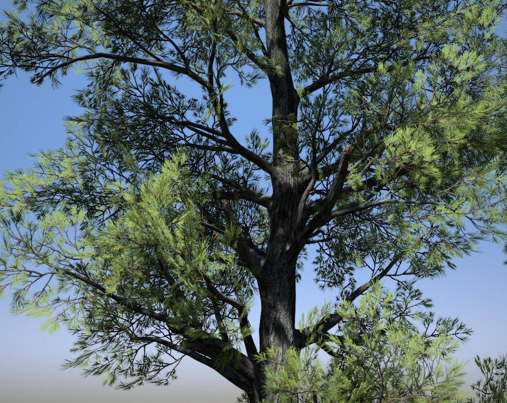 ArtStation - Learning Speedtree