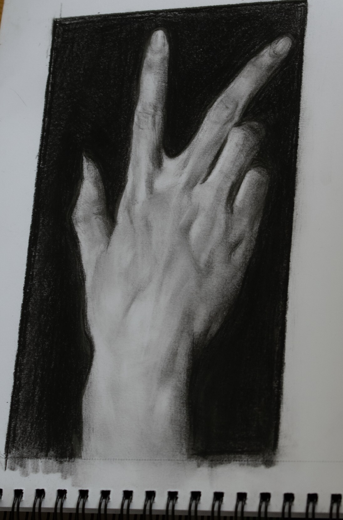 ArtStation - Charcoal on paper, studies