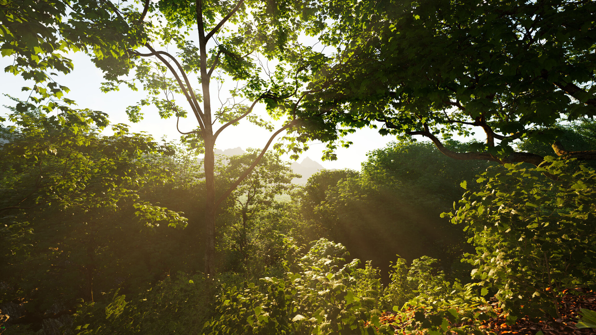 Benjamin Koch - UE5.3 | Trees Vol. 5 Maple Trees | Ultra Realistic Wind ...