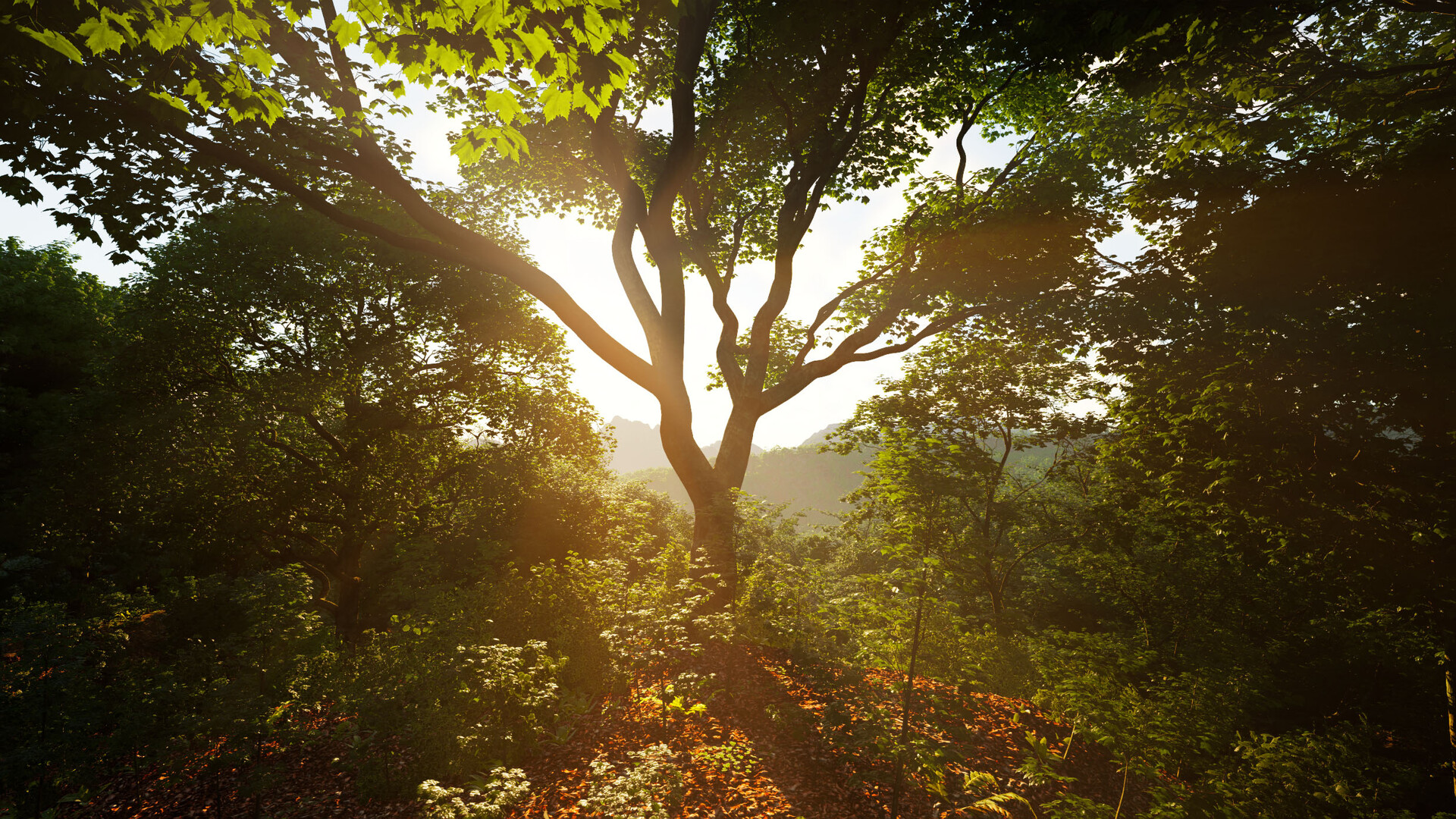 Benjamin Koch - UE5.3 | Trees Vol. 5 Maple Trees | Ultra Realistic Wind ...