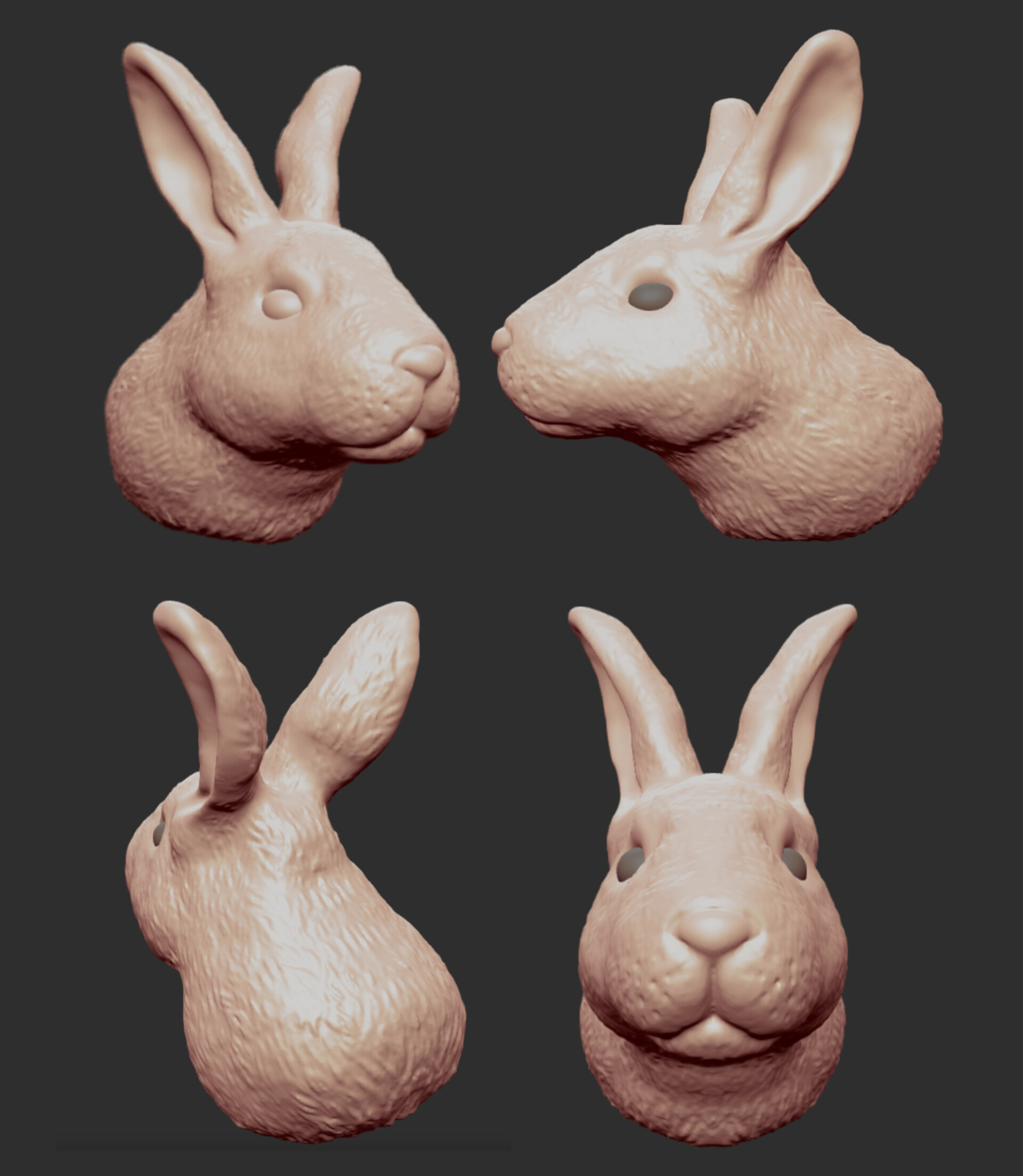 ArtStation - Rabbit Bust