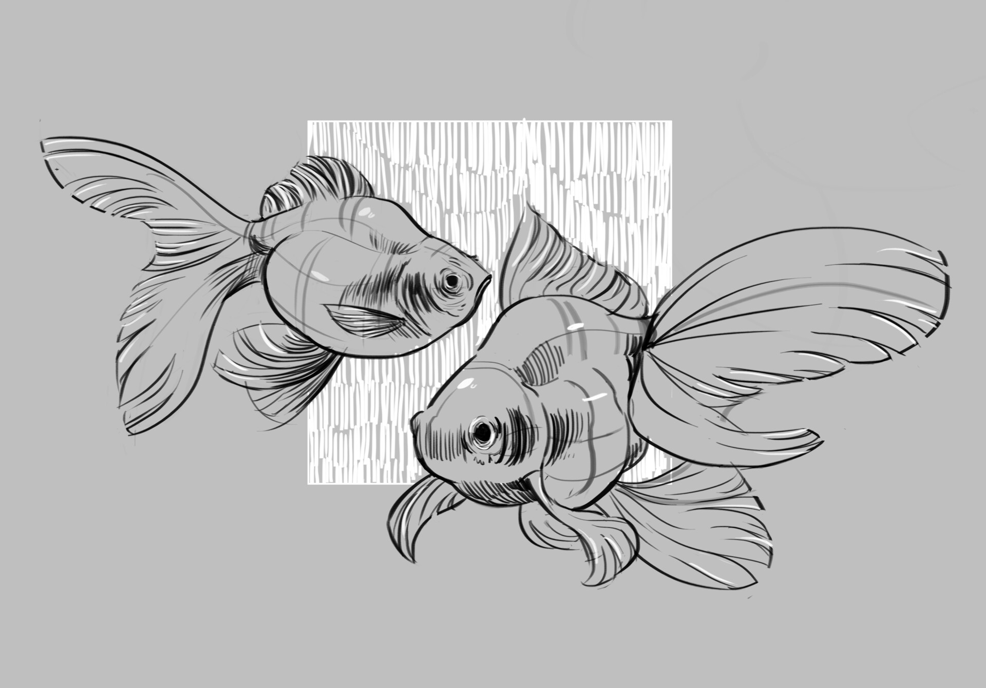 ArtStation - Dynamic sketching: Fish
