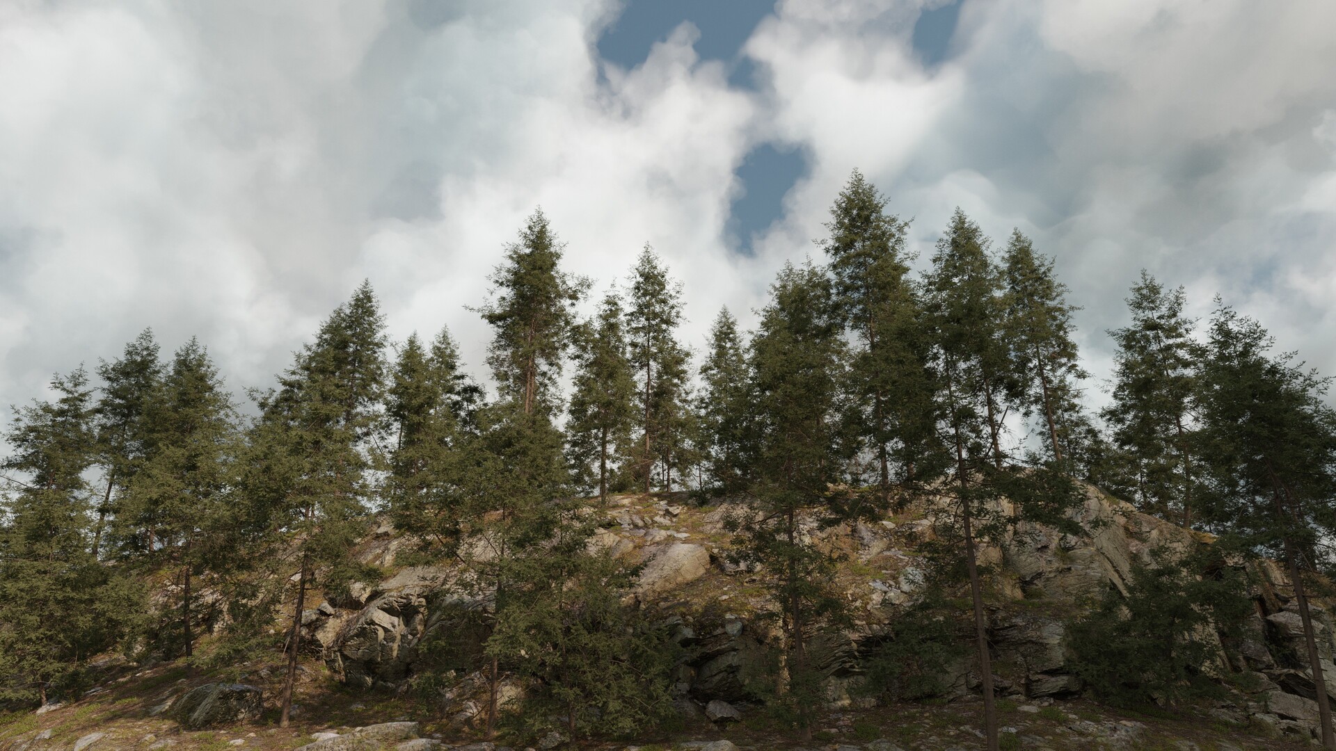 ArtStation - Pine Cliff