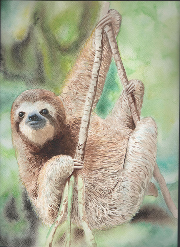 ArtStation - sloth