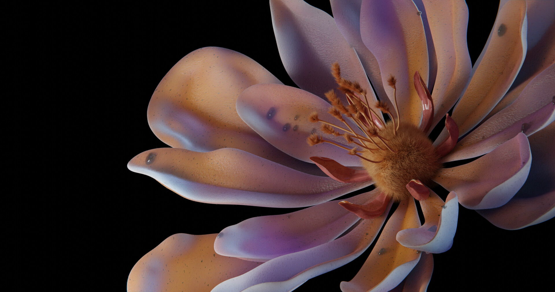 ArtStation - Flowers