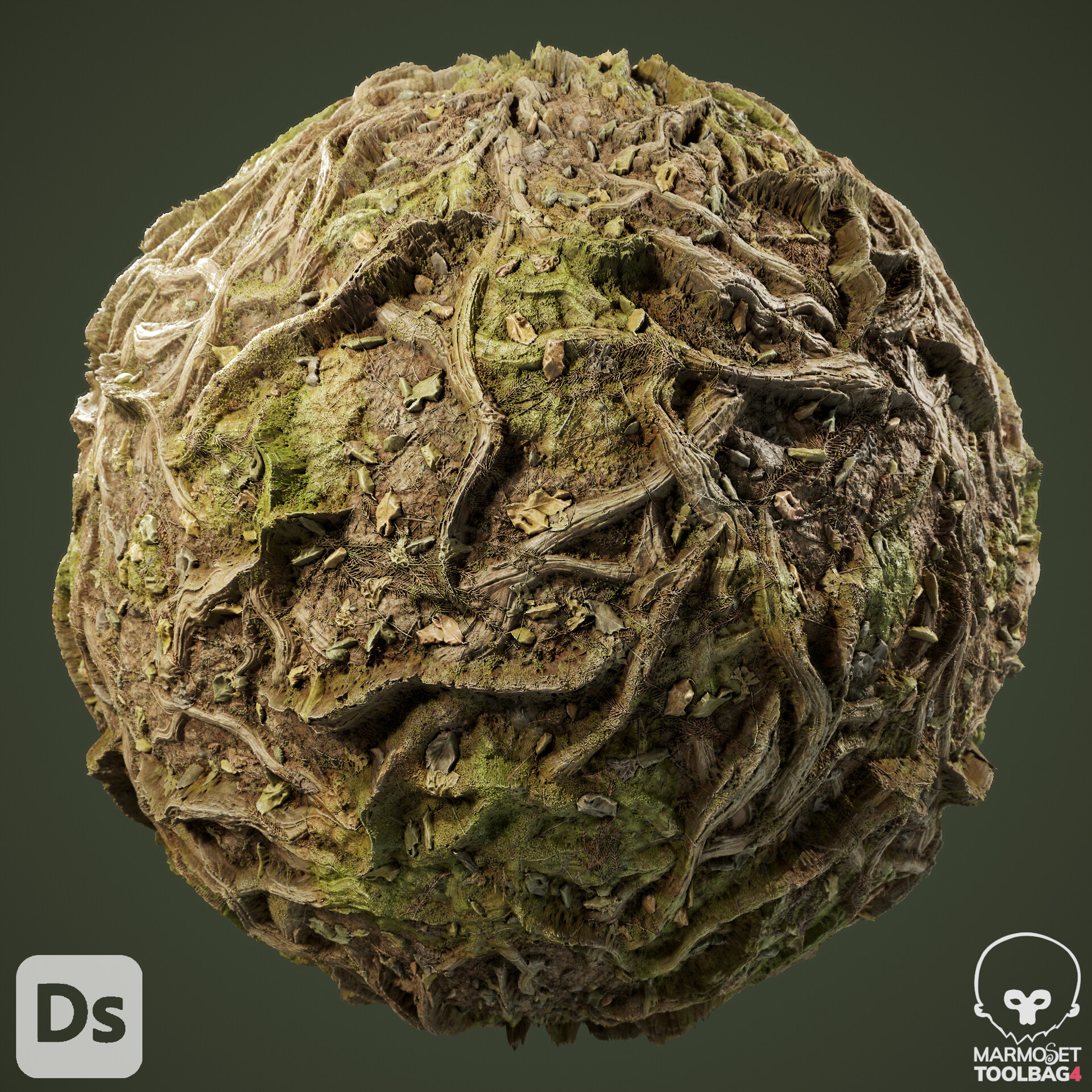 ArtStation - Jungle Roots