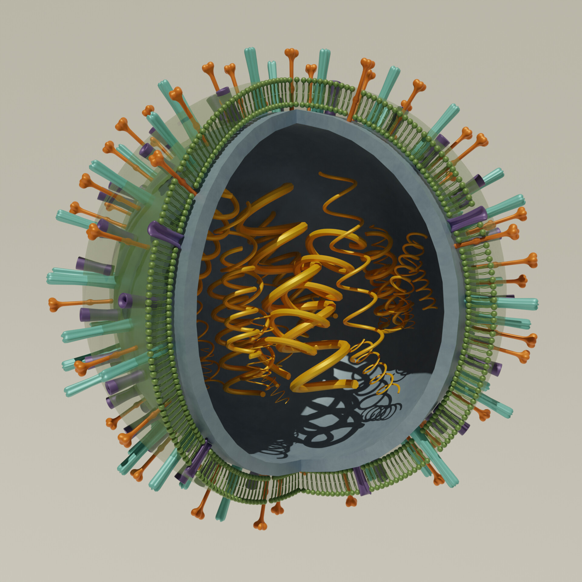ArtStation - Virus - Educational Representation