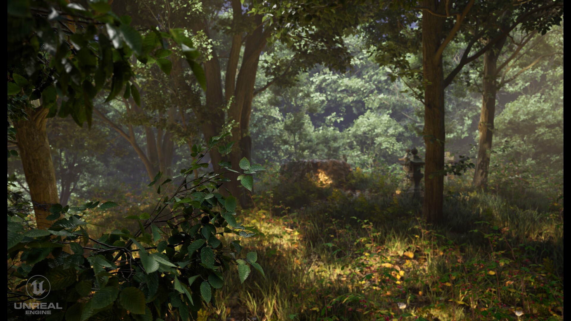 Kumar Sayan Barui - Forest Environment