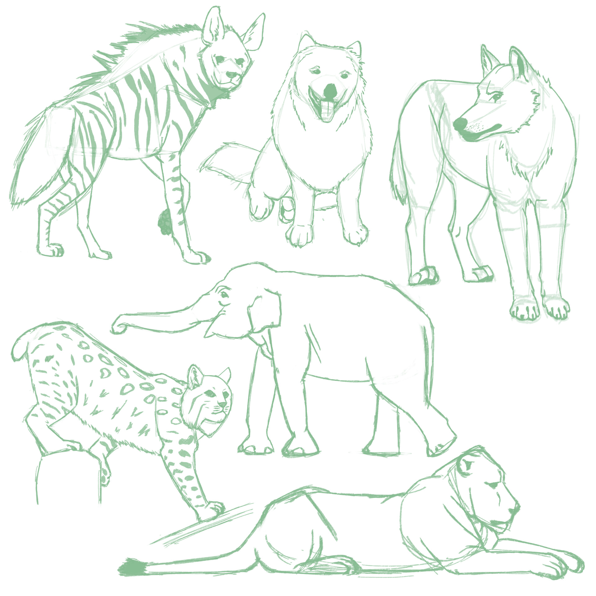 Edea Cross - Animal sketches