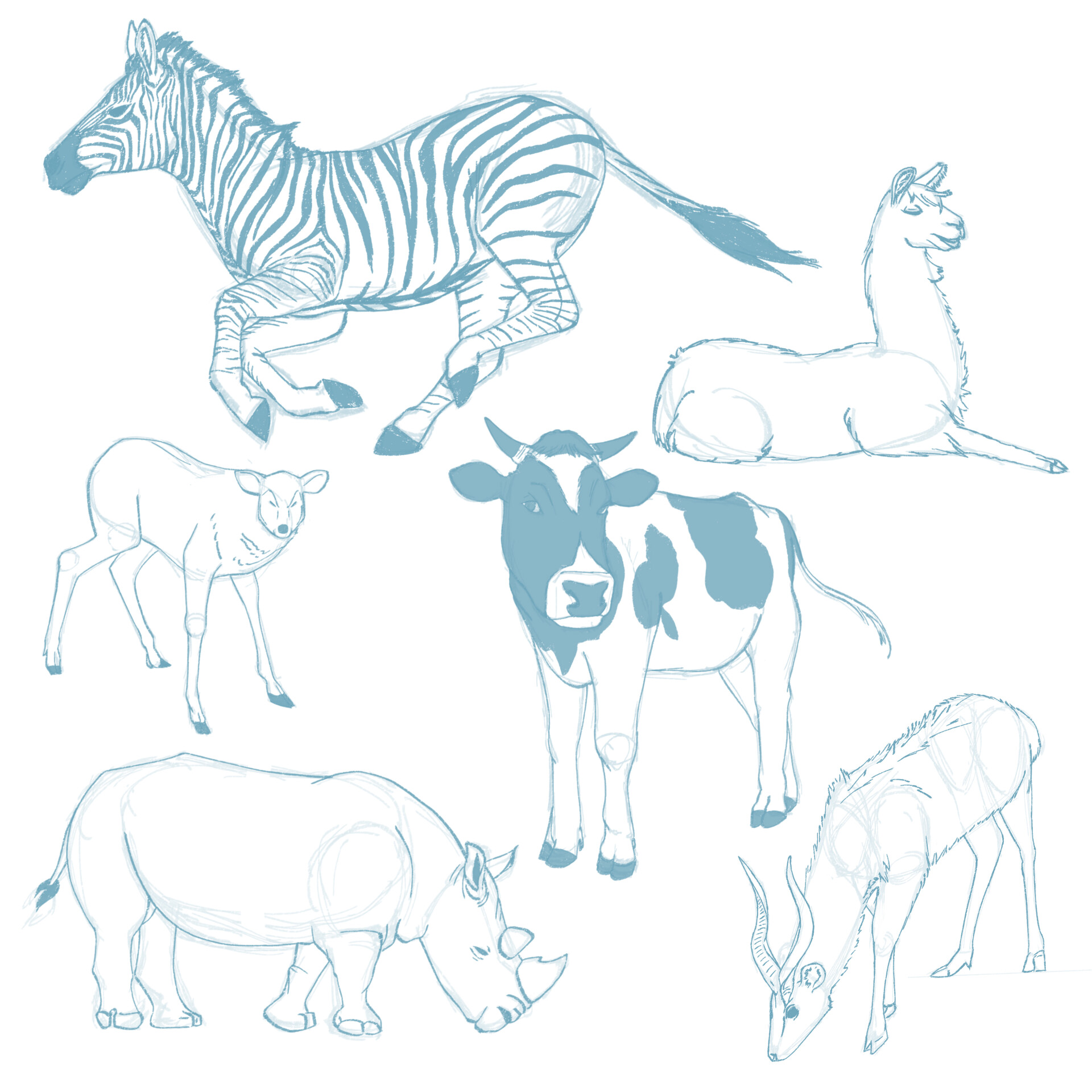 Edea Cross - Animal sketches