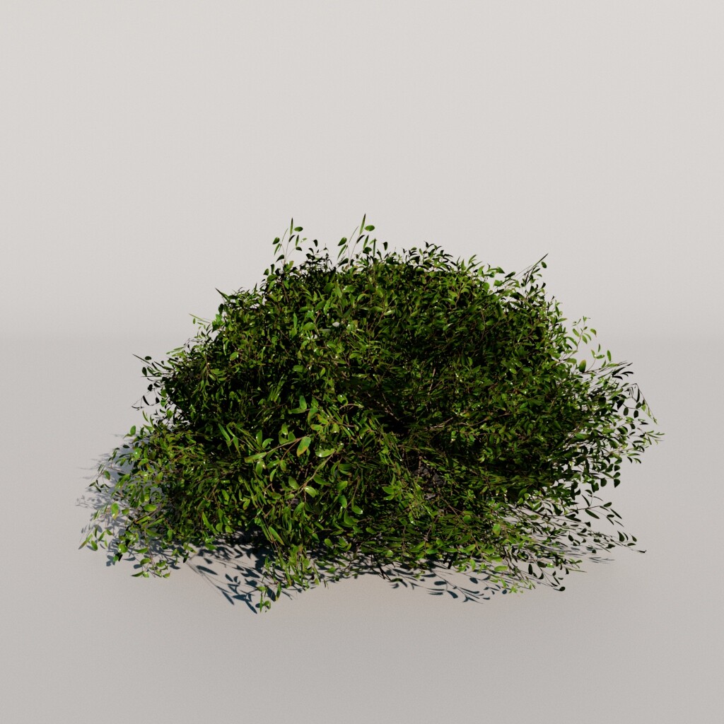 Raphaël Surette - Whittle Escape