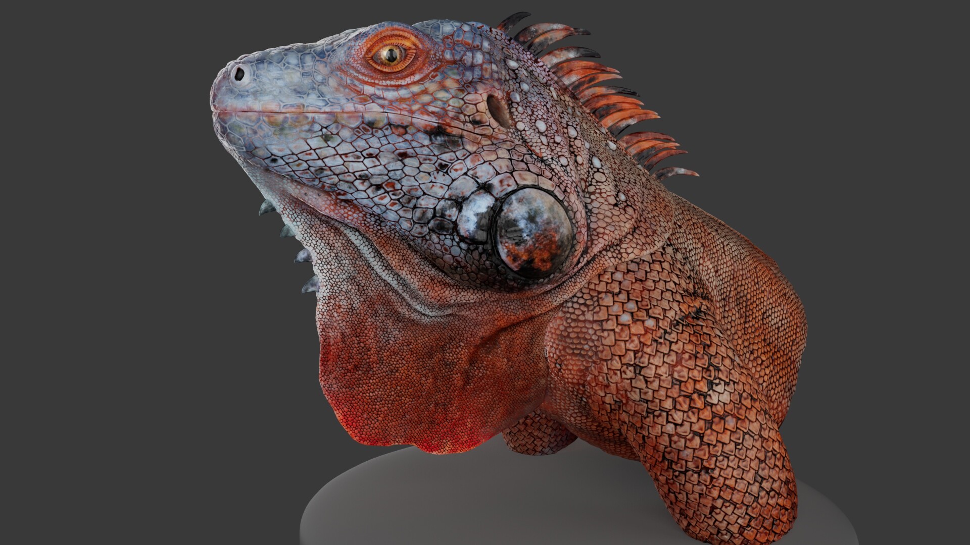 ArtStation - Iguana